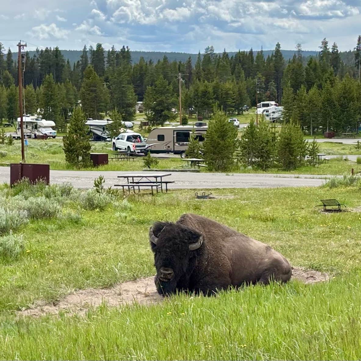 Bridge Bay Campground — Yellowstone National Park | West Yellowstone ...