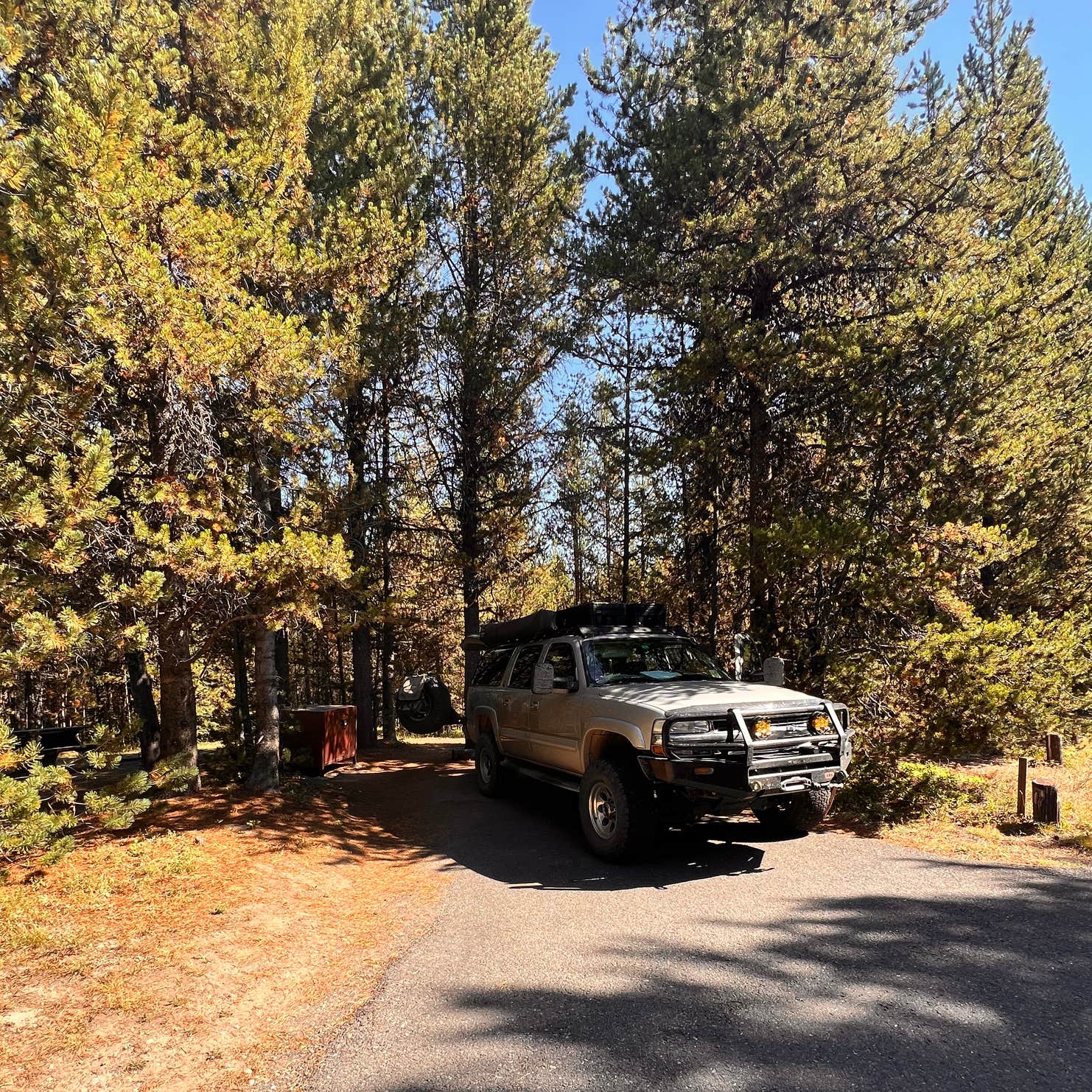 Bridge Bay Campground — Yellowstone National Park | West Yellowstone ...
