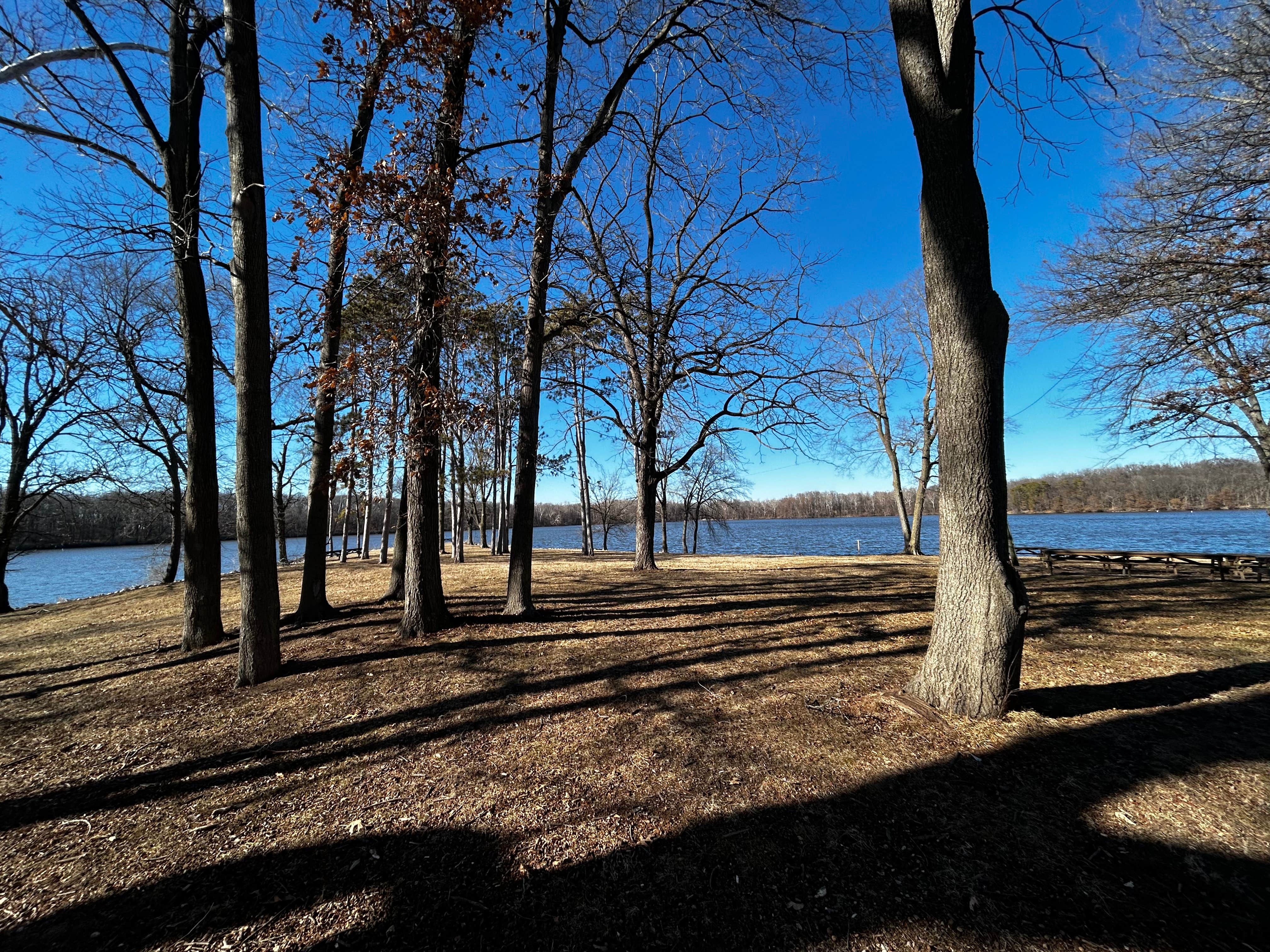 Bridgeview park Camping | Chatham, IL