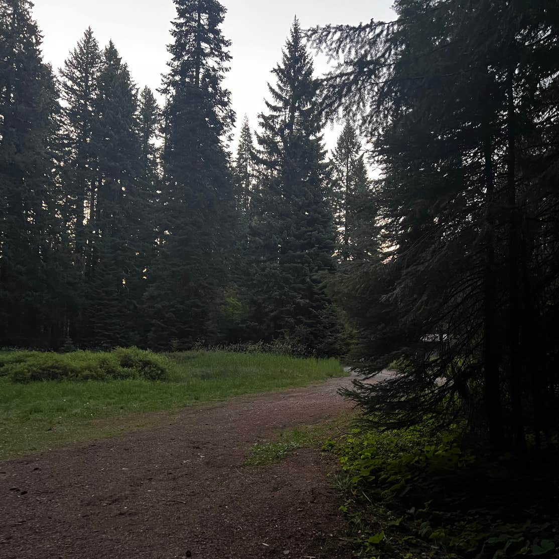 Briggs Dispersed Camp | Clearwater, Oregon