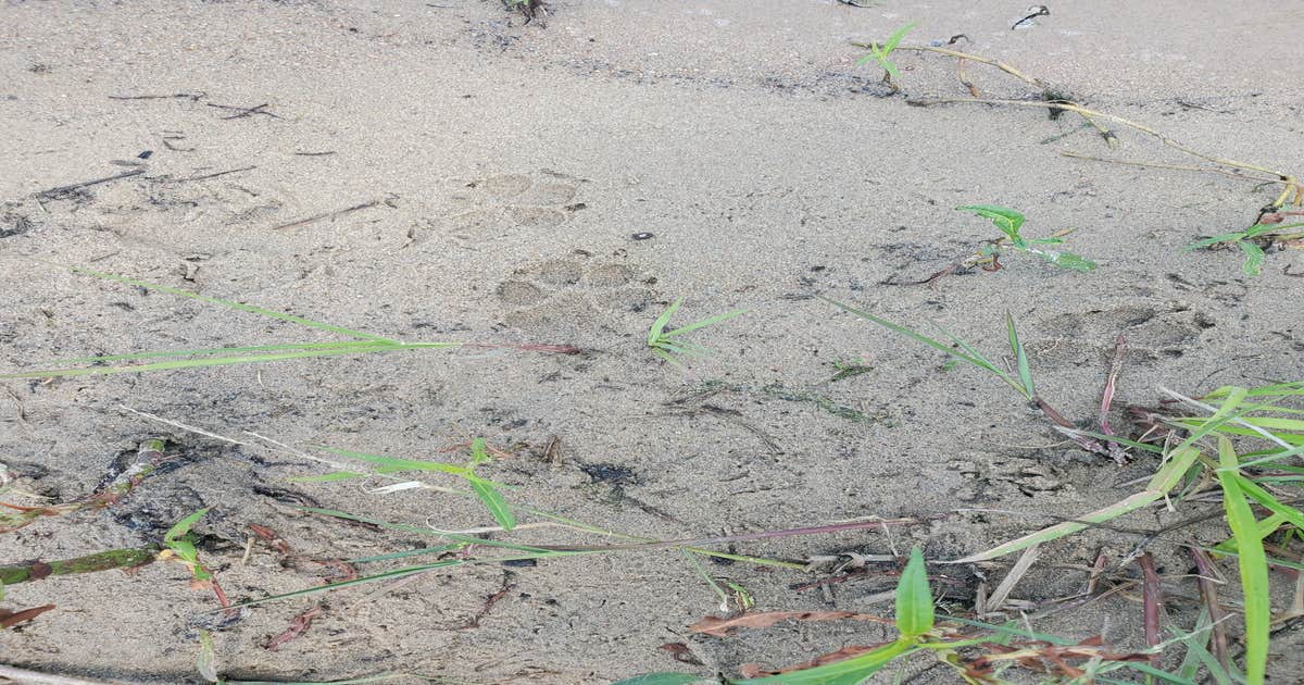 Bruning Dam Recreation Area Camping | Fairbury, Nebraska