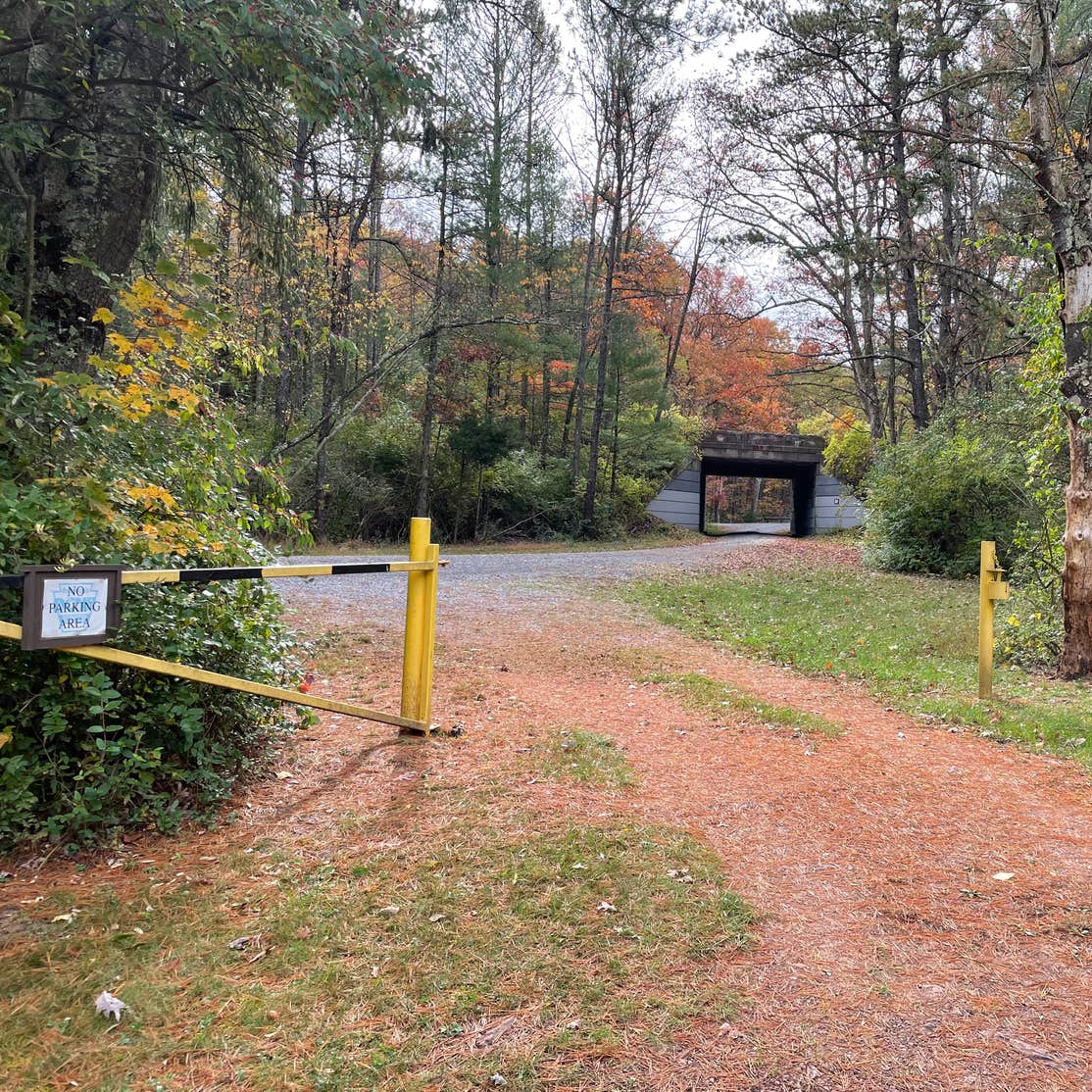 Sideling Hill Roadside Sites — Buchanan State Forest Camping ...