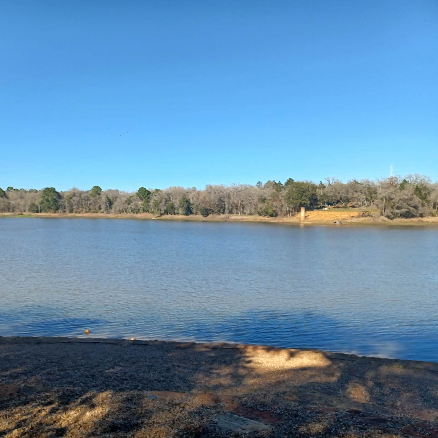 Buescher State Park Campground | Smithville, Texas