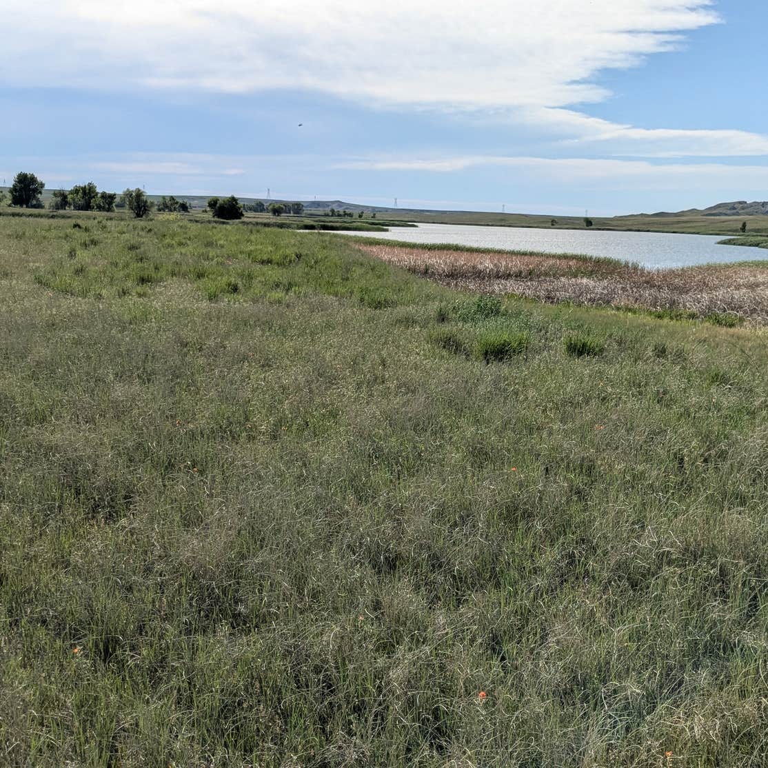 Buffalo Gap National Grasslands Camping | Buffalo Gap, South Dakota