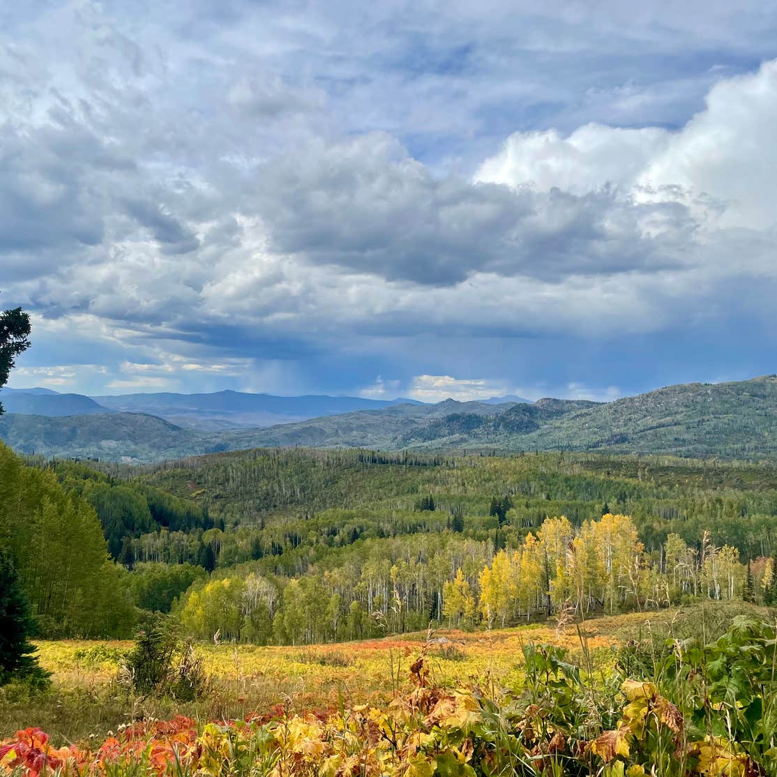 Buffalo Pass Dispersed Camping | Steamboat Springs, Colorado