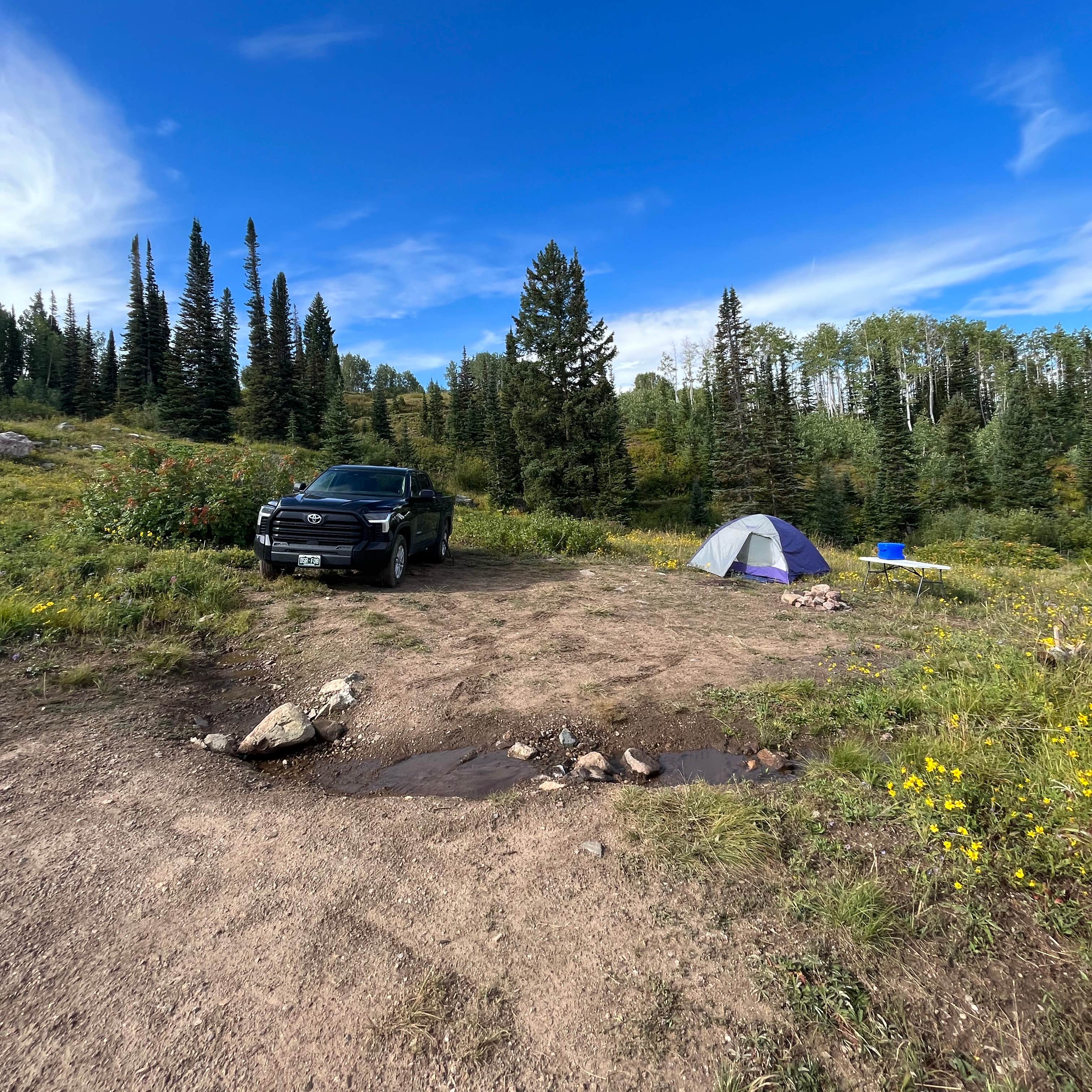 Buffalo Pass Dispersed Camping | Steamboat Springs, CO