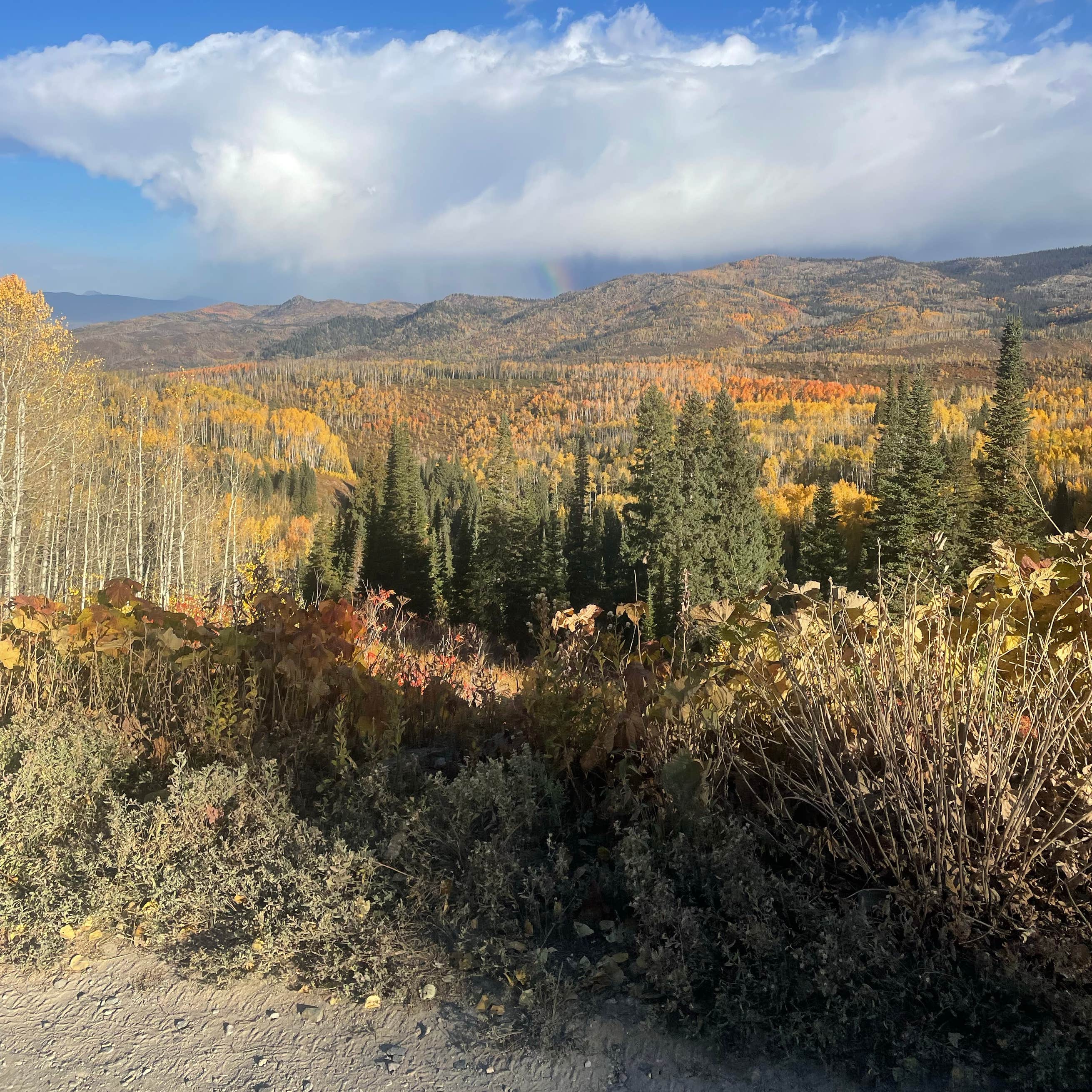 Buffalo Pass Dispersed Camping | Steamboat Springs, CO
