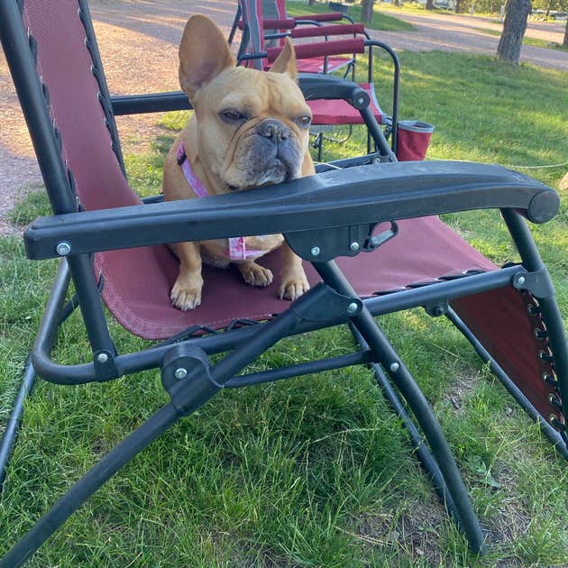 Buffalo Ridge Camp Resort | Custer, South Dakota