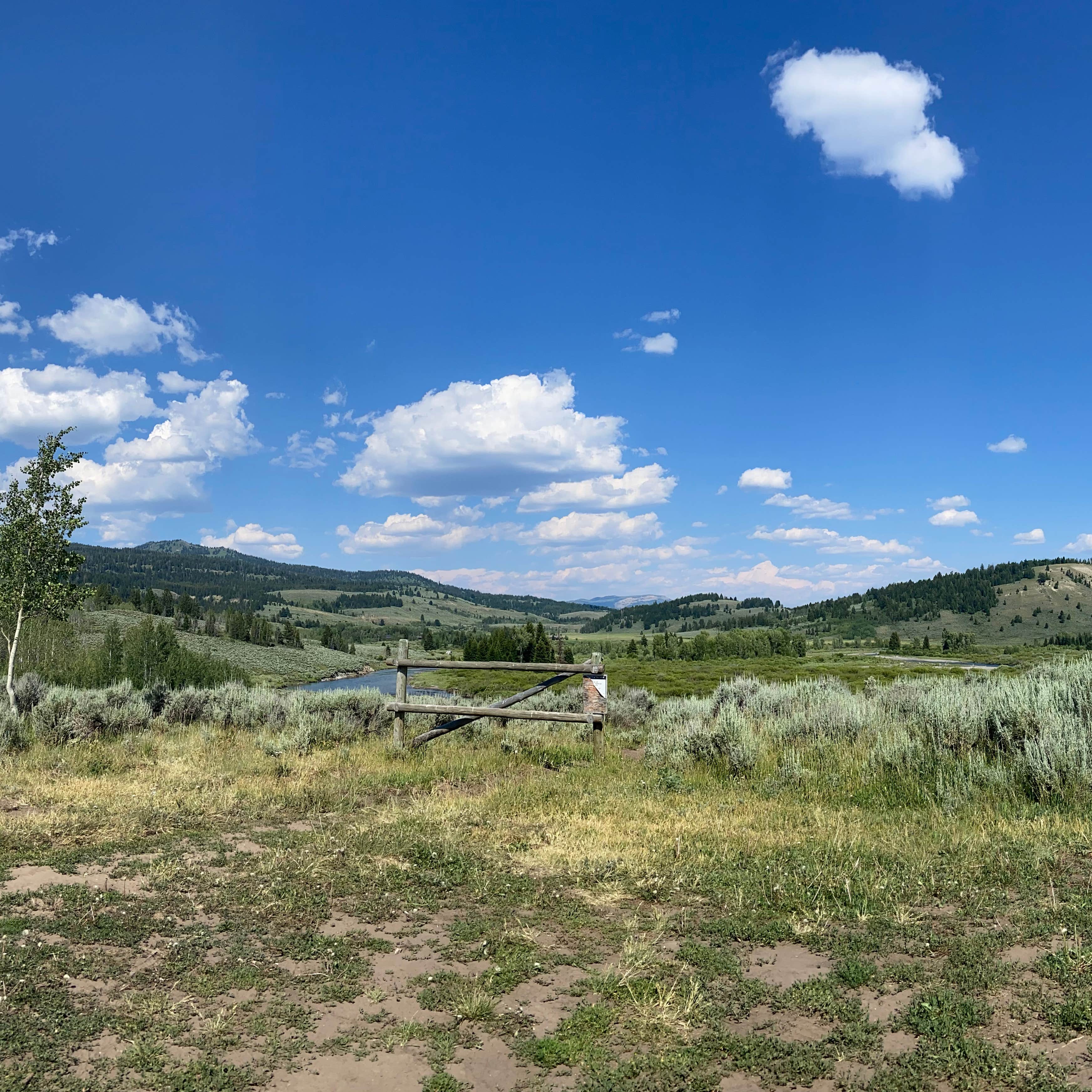 Buffalo Valley Designated Dispersed Camping | Moran, Wyoming