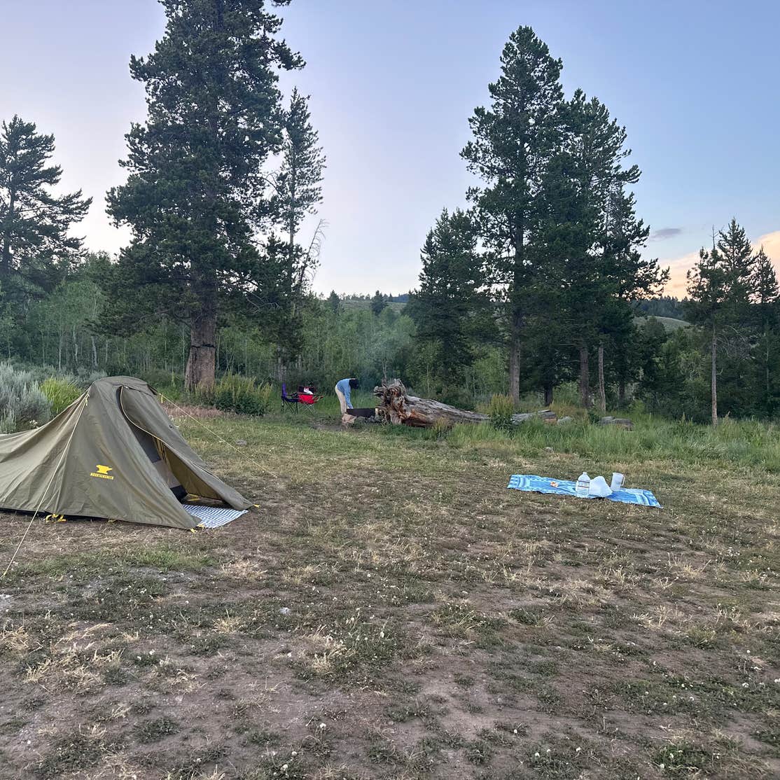 Buffalo Valley Dispersed Camping | Moran, Wyoming