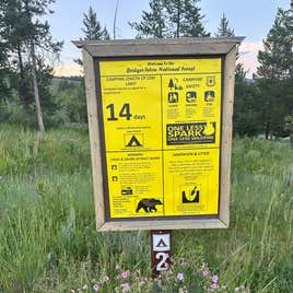 Buffalo Valley Dispersed Camping | Moran, Wyoming