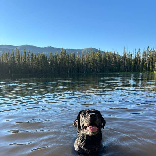 Bull Trout Lake Campground | Lowman, ID
