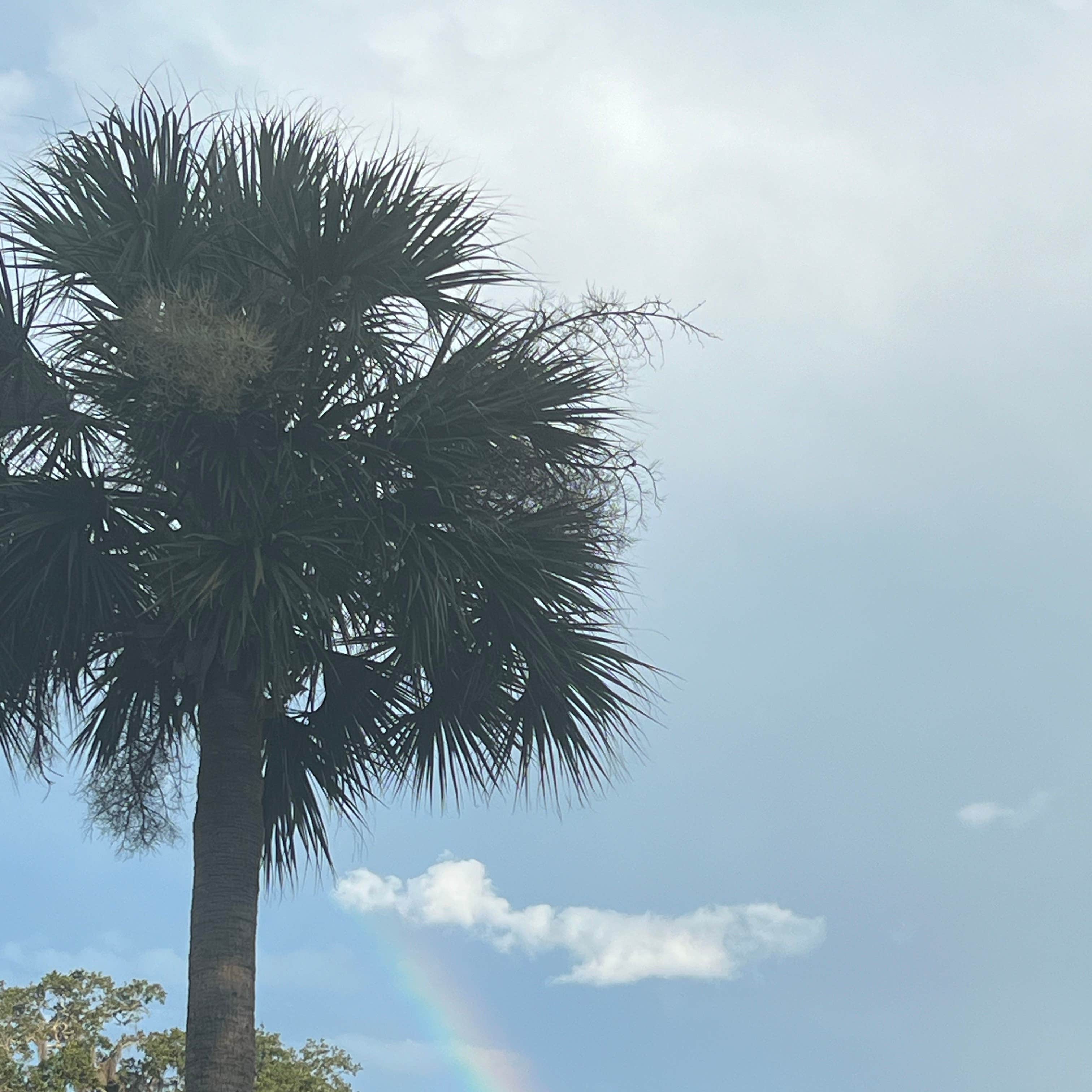 Encore Bulow RV | Flagler Beach, Florida