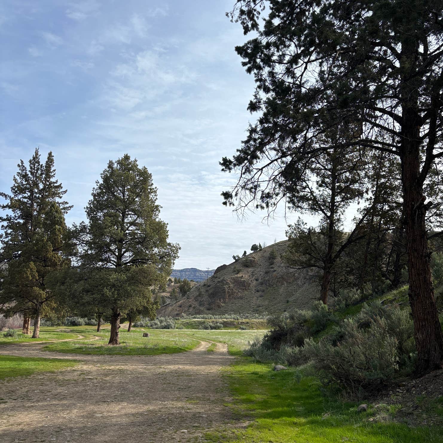 Burnt Ranch Road/Bridge Creek (Painted Hills) Camping | Mitchell, Oregon
