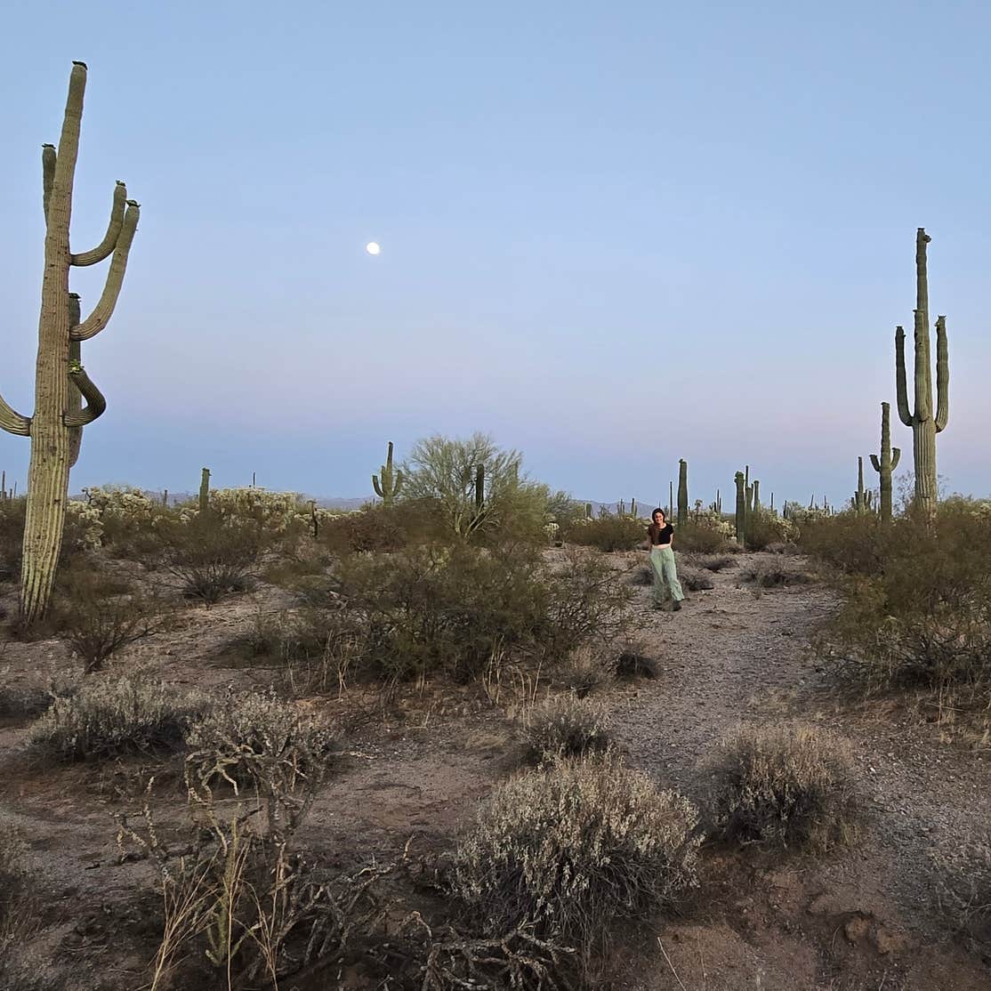 Cactus Forest Dispersed Camping | Marana, Arizona