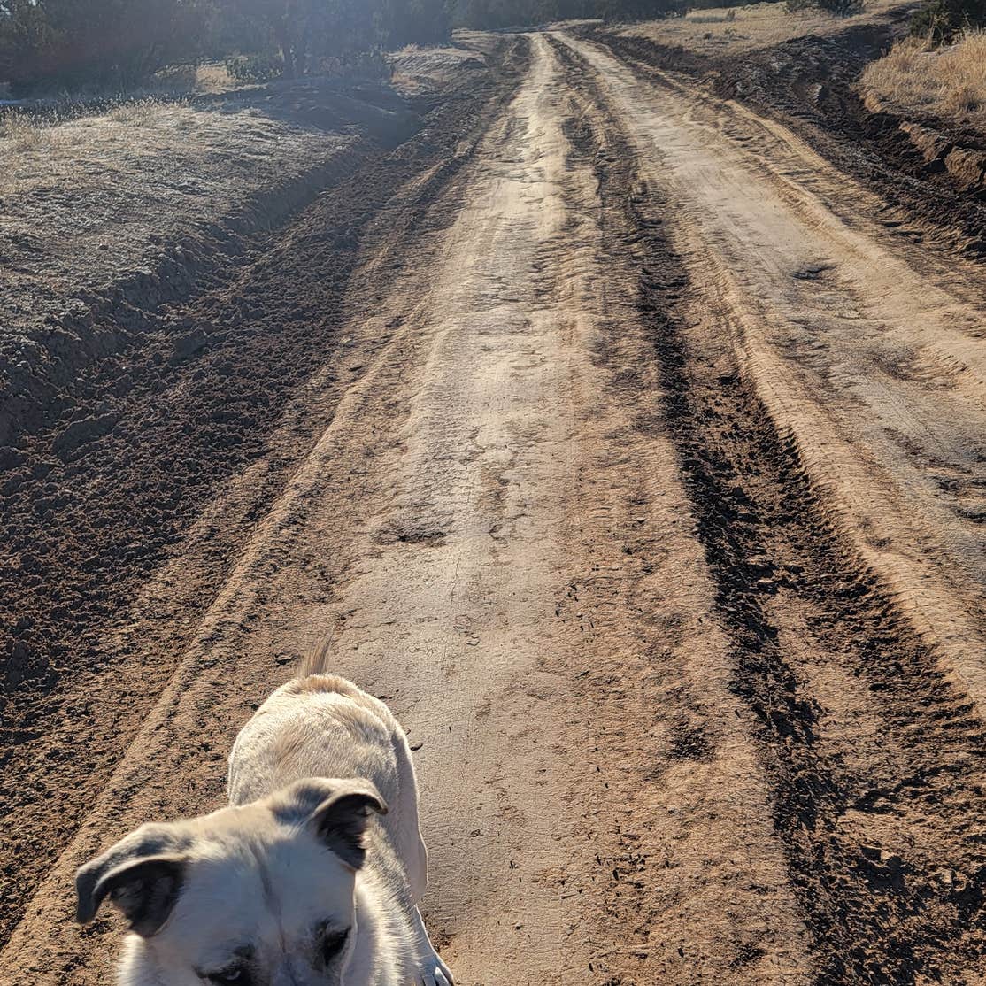 Caja Del Rio Dispersed Camping | Santa Fe, New Mexico