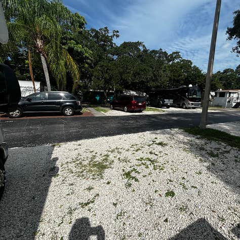 Caladesi RV Park | Palm Harbor, Florida