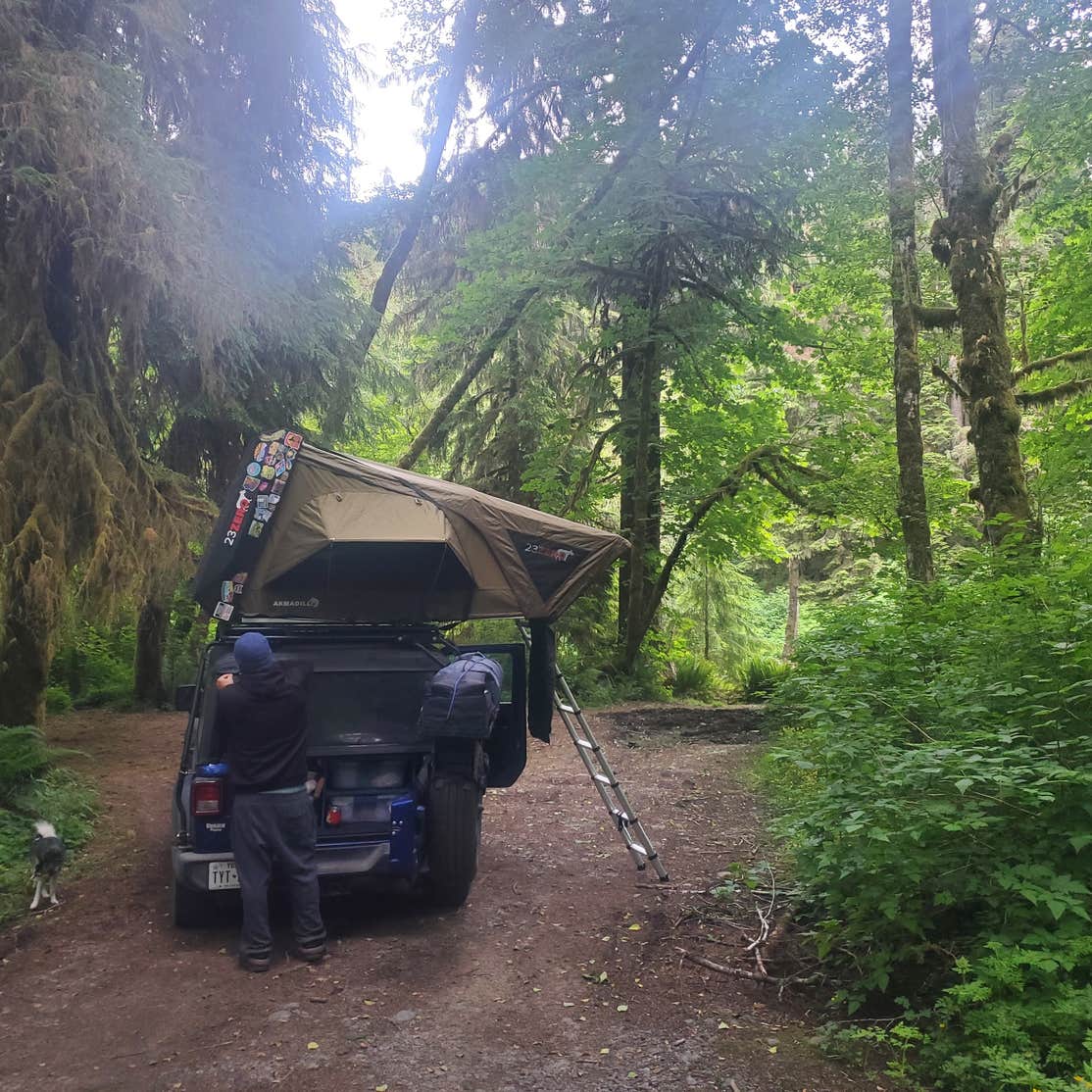 Calawah River Pull-Off on Forest Road 2932 Camping | Forks, Washington