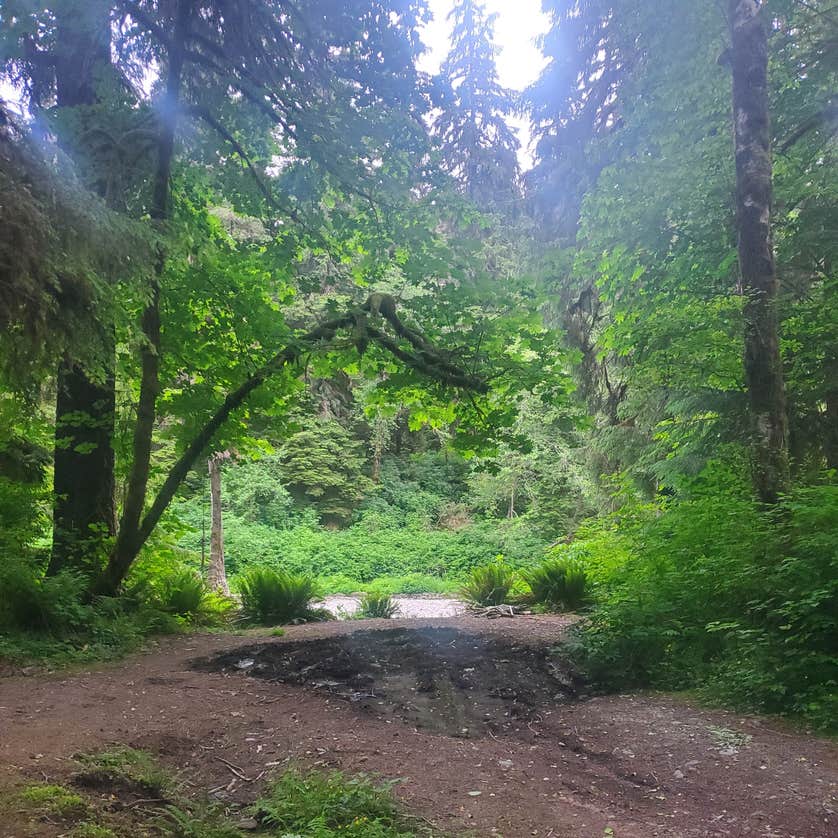 Calawah River Pull-Off on Forest Road 2932 Camping | Forks, Washington