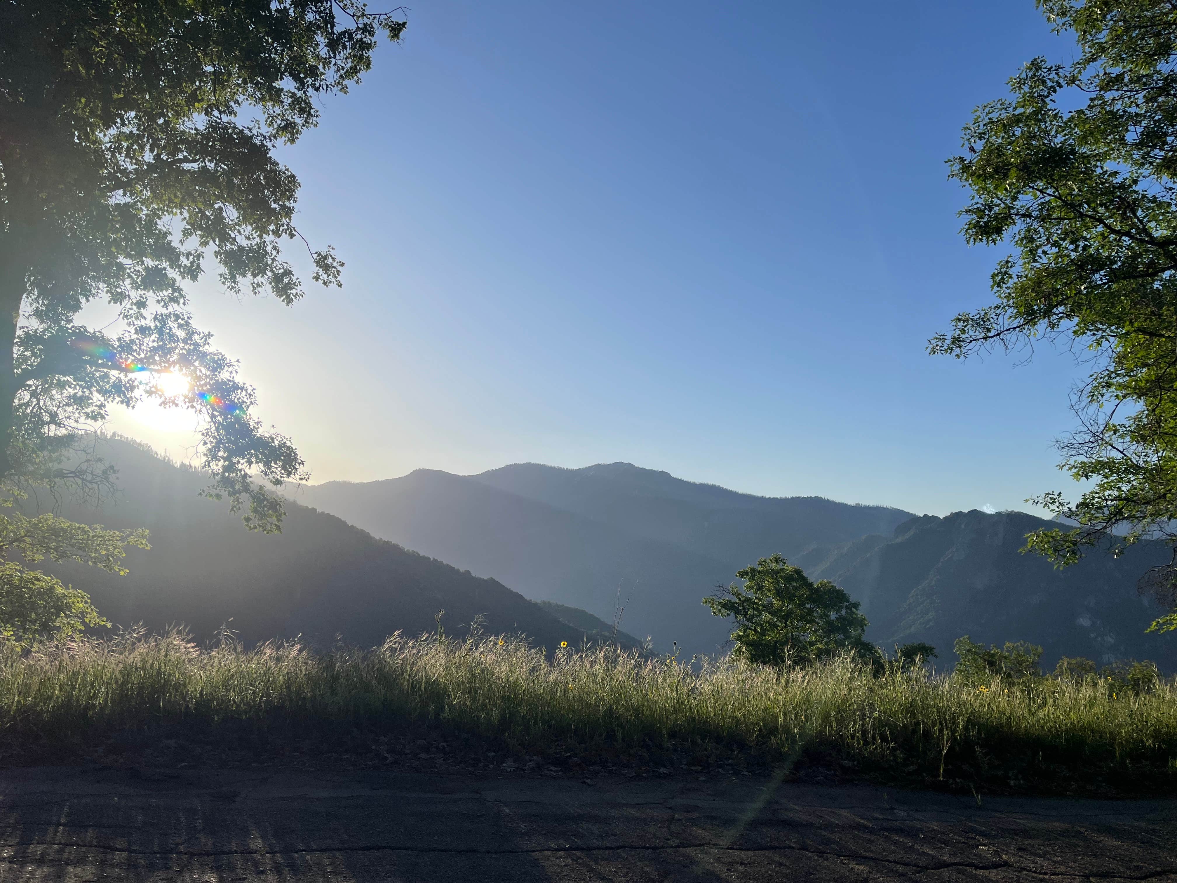 Balch Park Campground | Camp Nelson, California