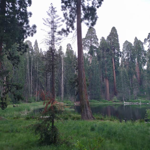 Balch Park Campground | Springville, CA