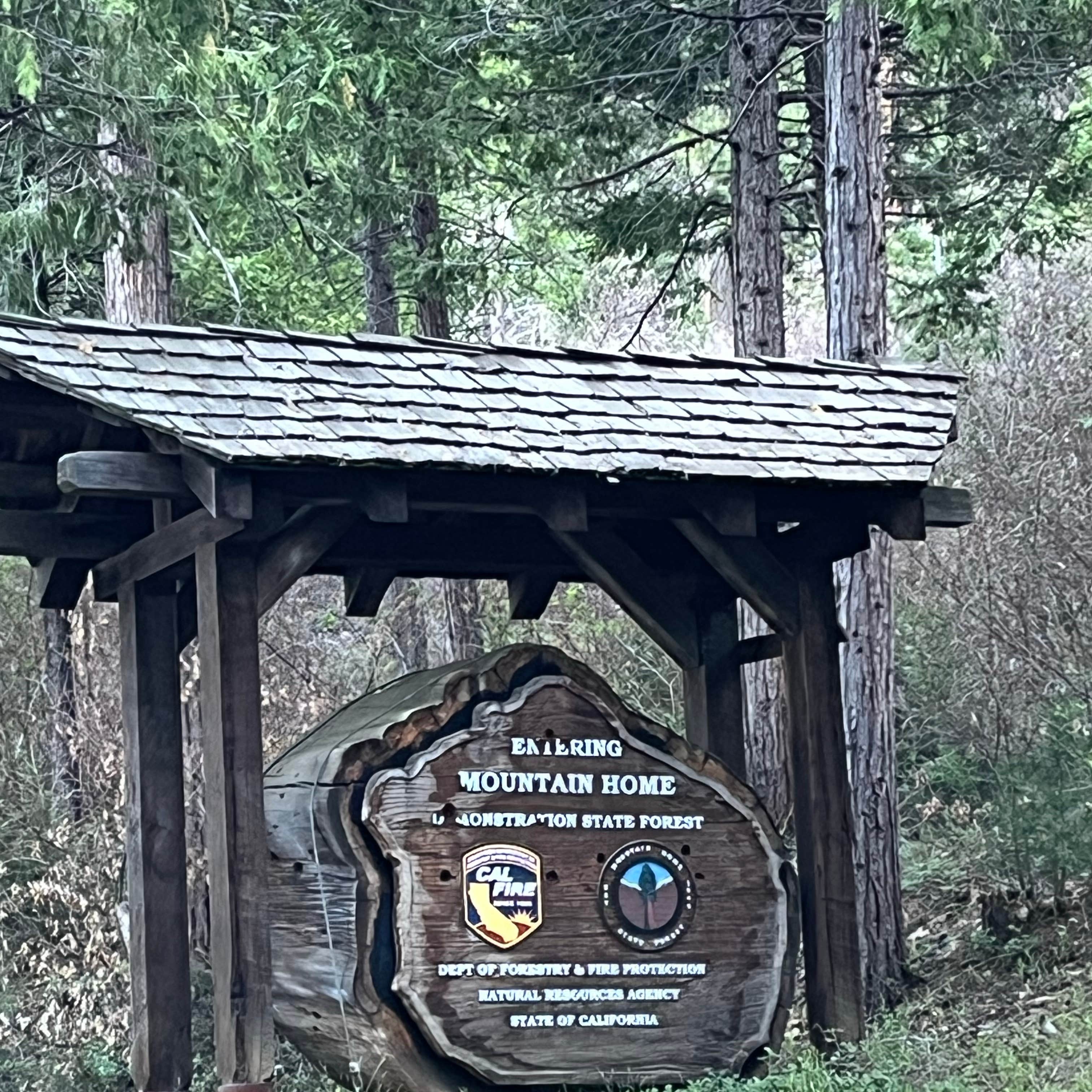 Balch Park Campground | Camp Nelson, California