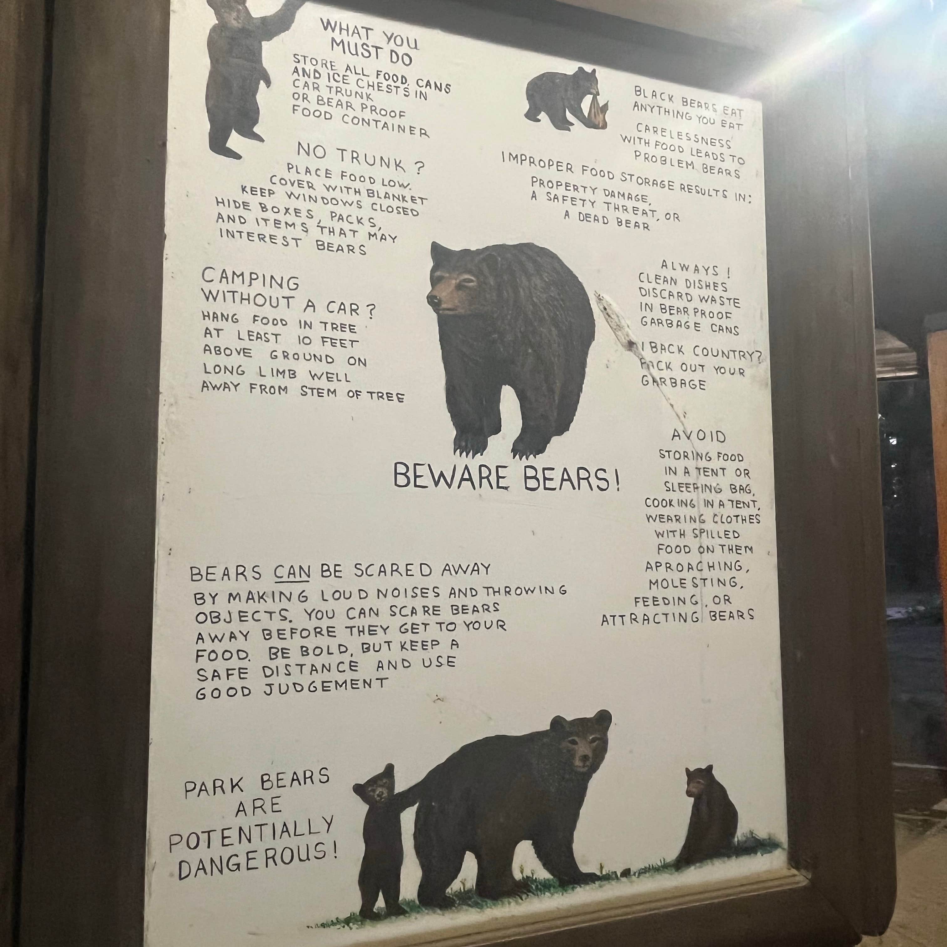 Balch Park Campground | Camp Nelson, California