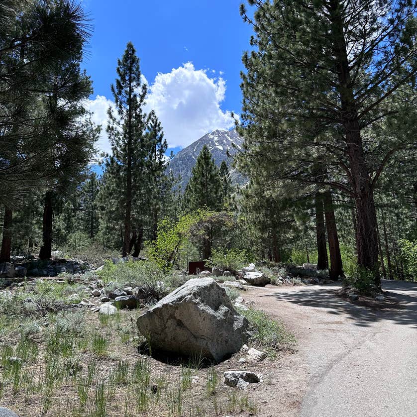 Big Pine Creek Campground | Big Pine, California