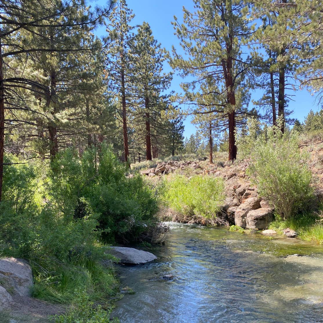 Big Springs Campground | Inyo National Forest, California