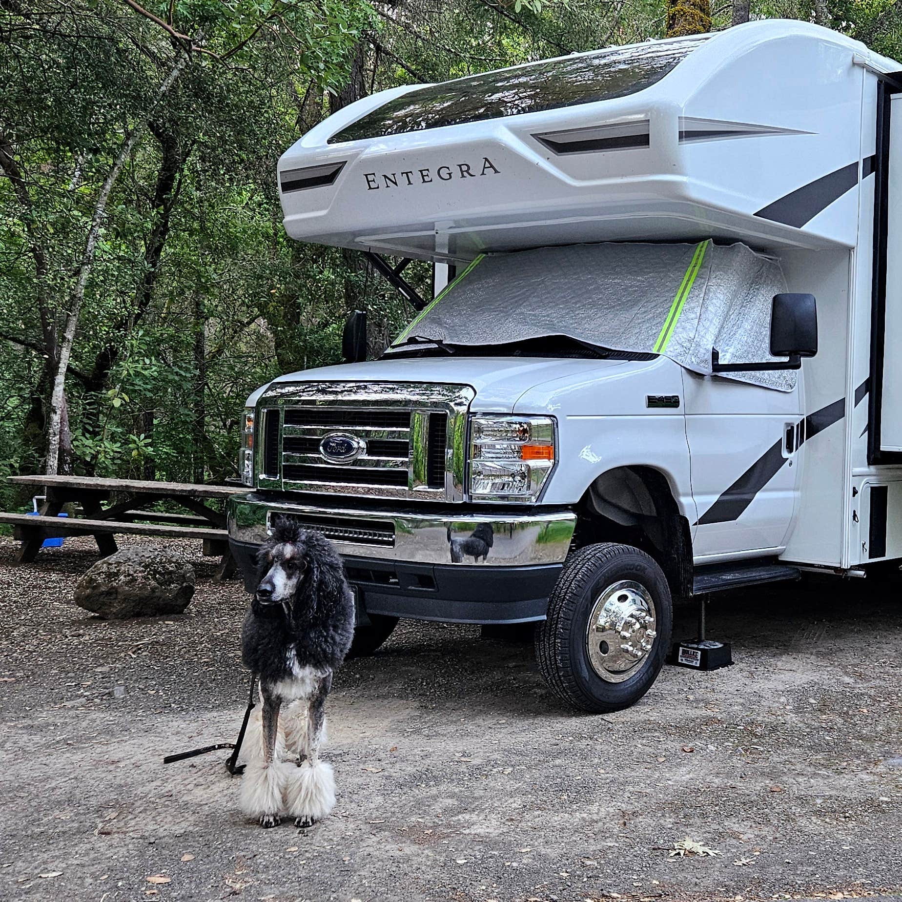 Ritchey Creek Campground — Bothe-Napa Valley State Park | Deer Park ...