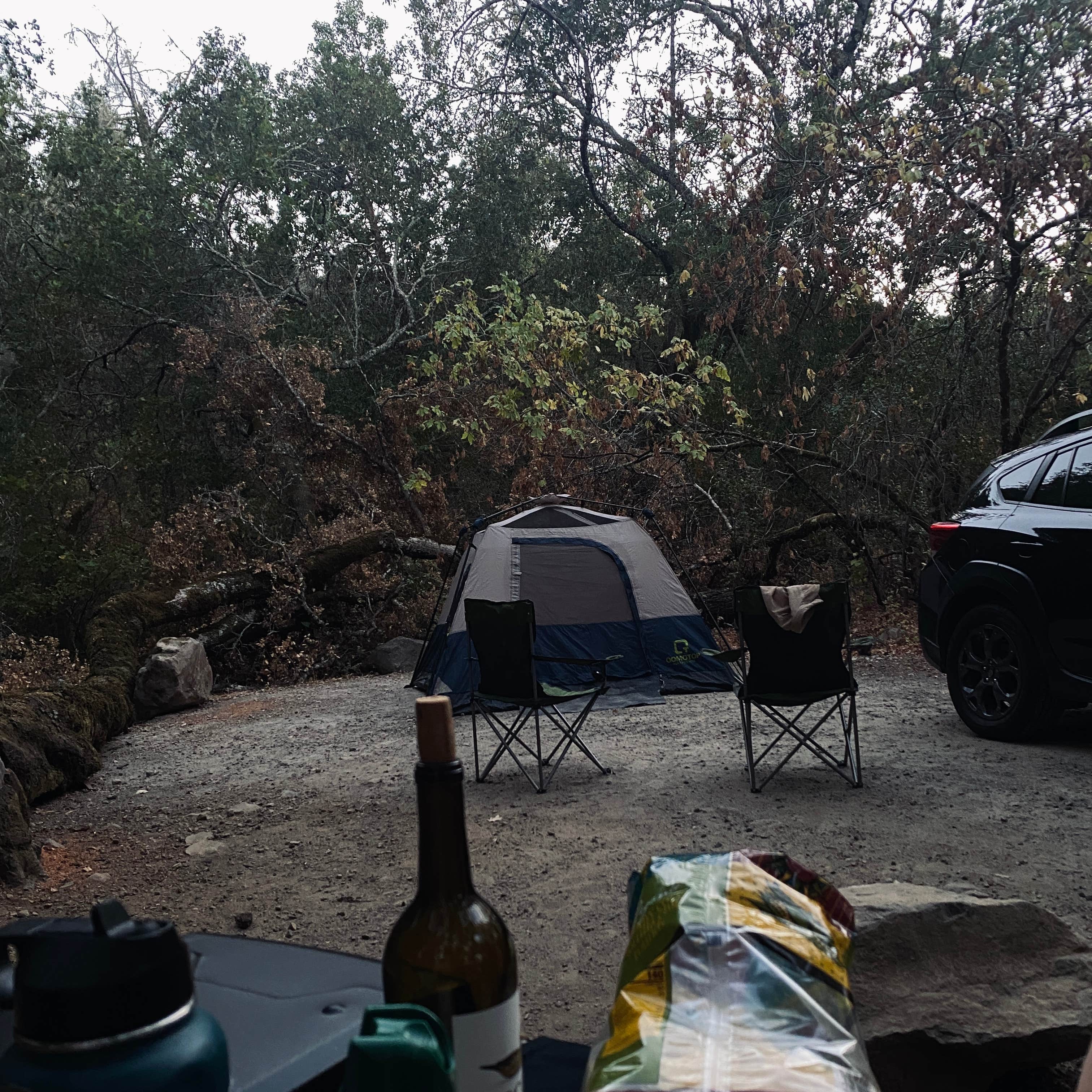 Ritchey Creek Campground — Bothe-Napa Valley State Park | Deer Park ...