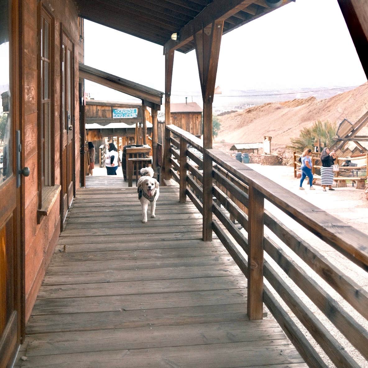 Calico Ghost Town Camping | Yermo, CA
