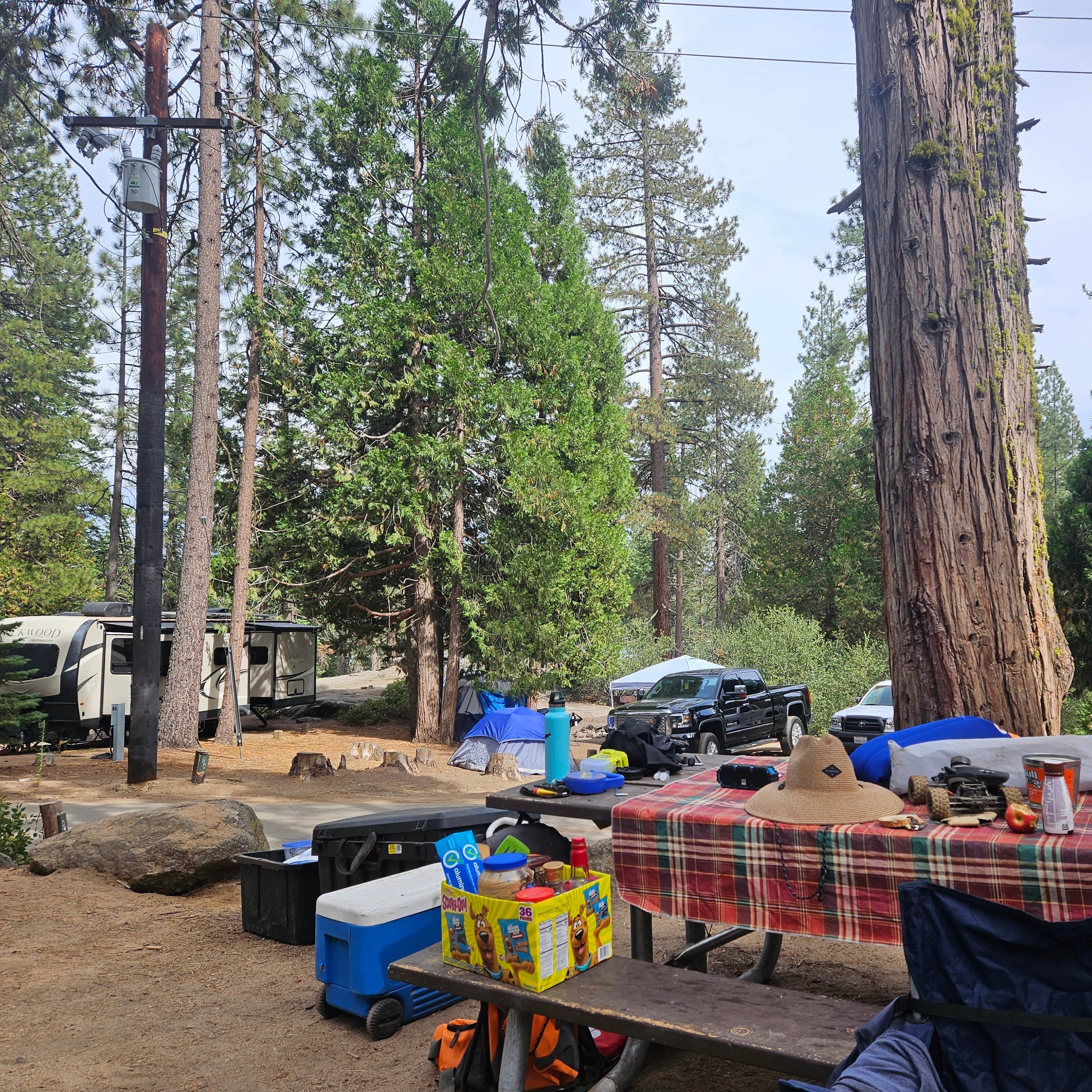 Camp Edison | Shaver Lake, California