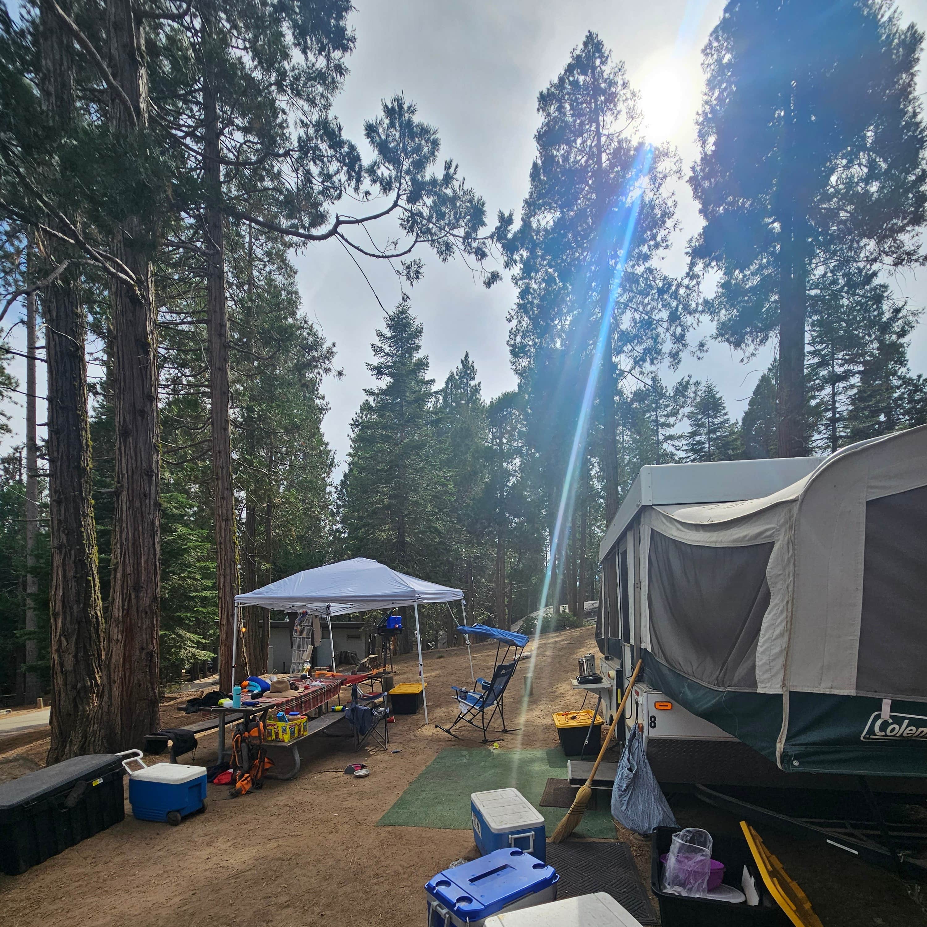 Camp Edison | Shaver Lake, California