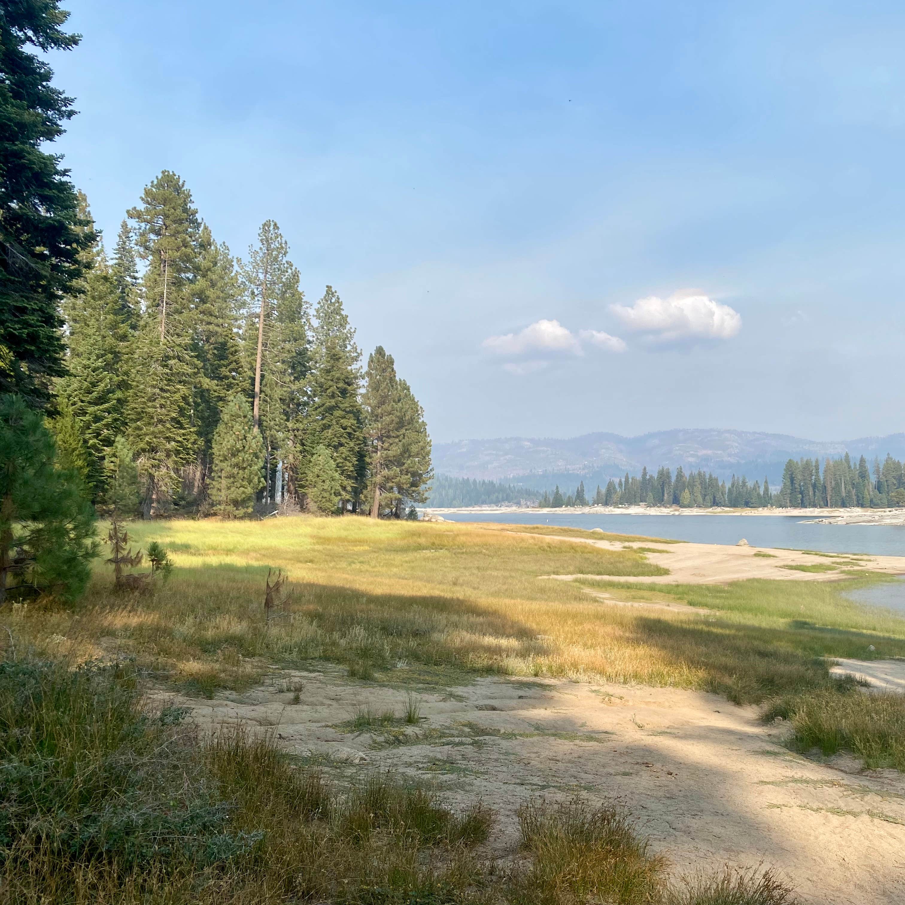 Camp Edison | Shaver Lake, California