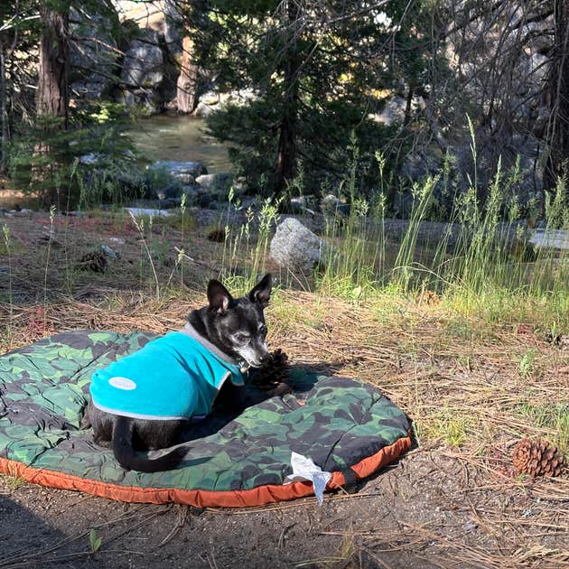 China Flat Campground | Kyburz, California