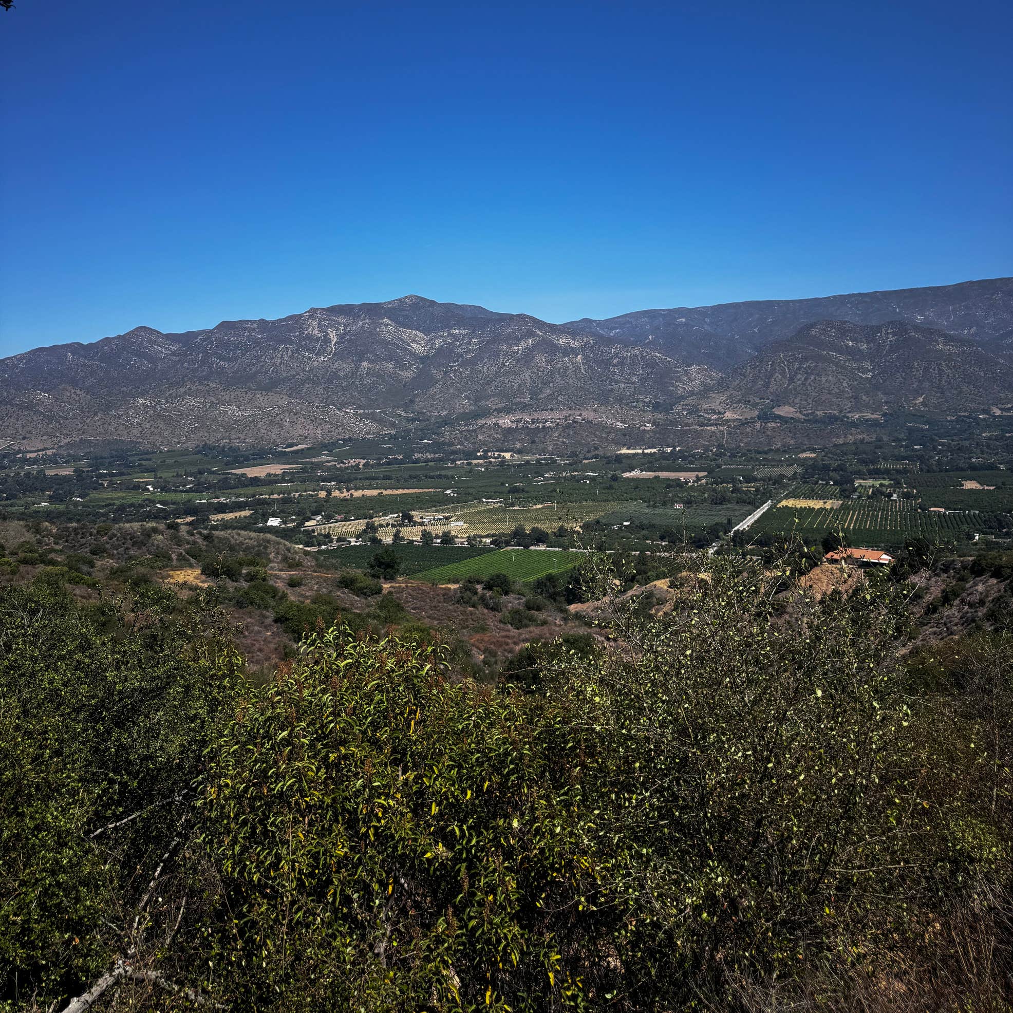 Dennison Park Camping | Ojai, California