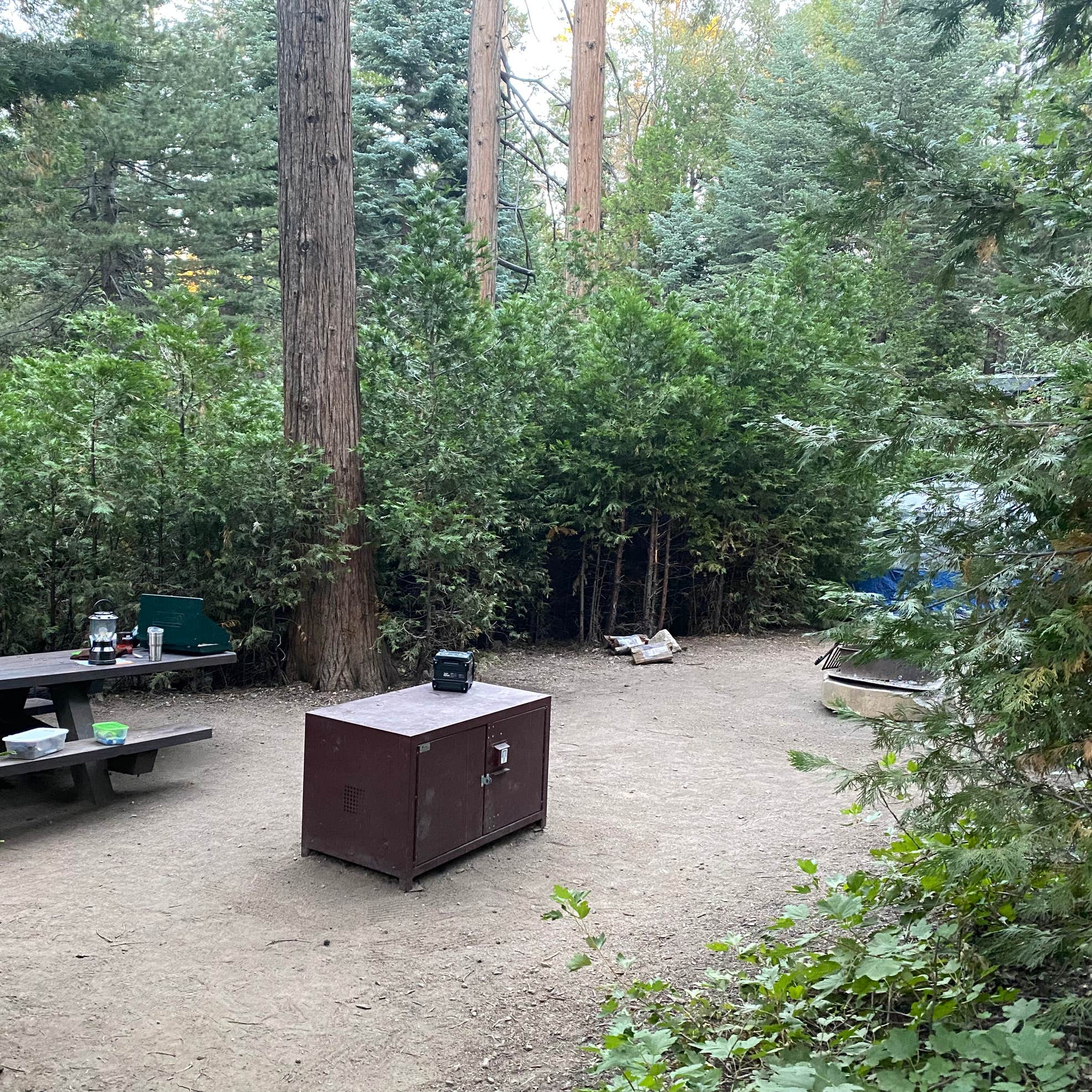 Dogwood Camping | Rimforest, California