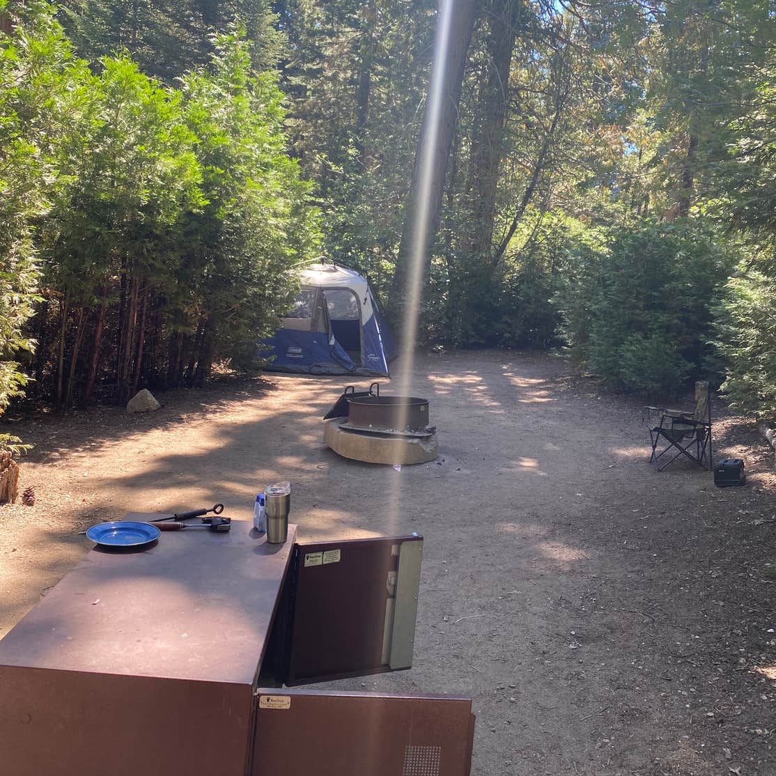 Dogwood Camping | Rimforest, California