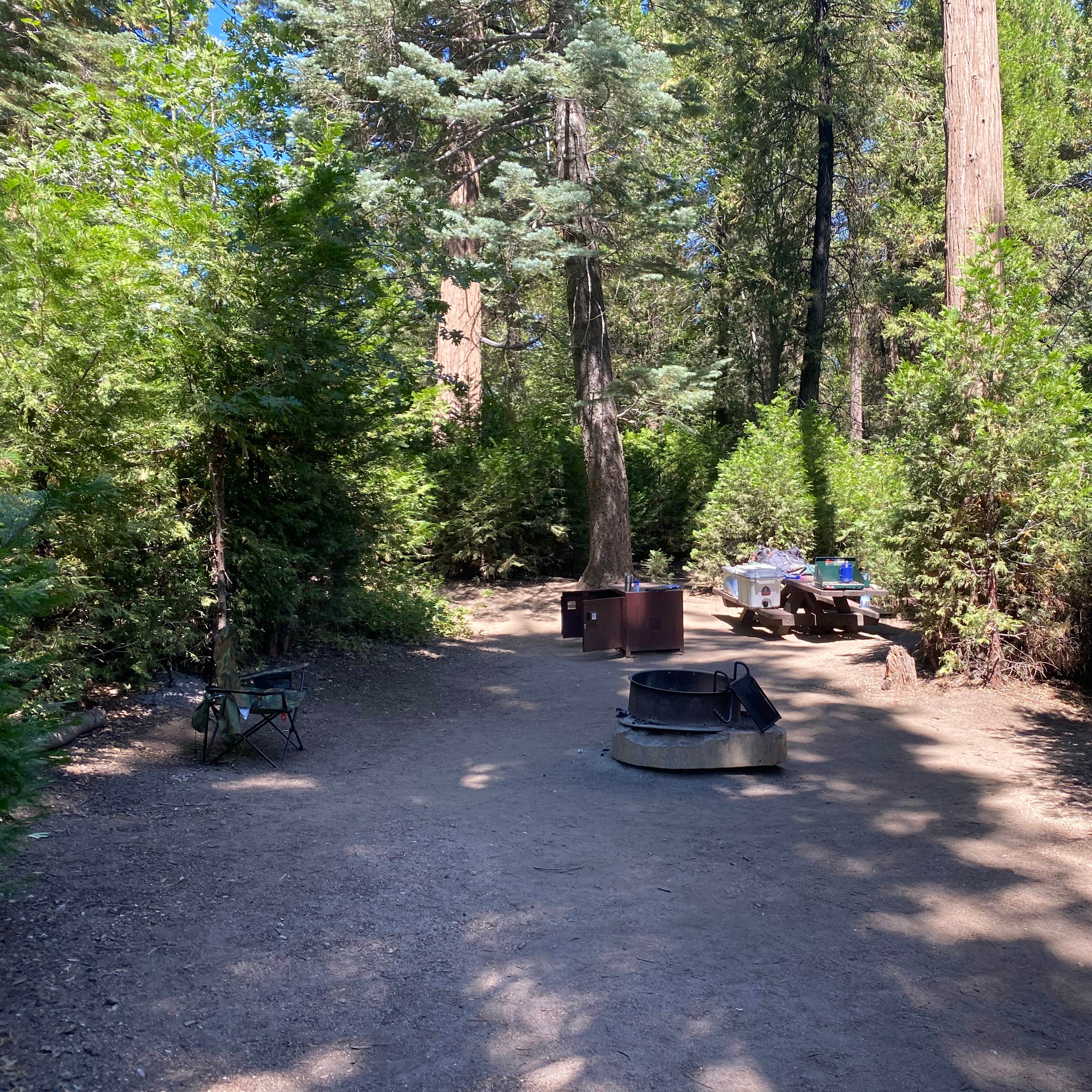 Dogwood Camping | Rimforest, California