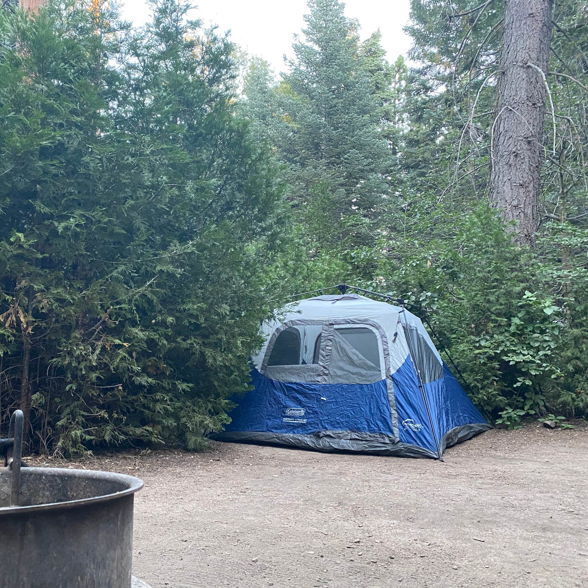 Dogwood Camping | Rimforest, California