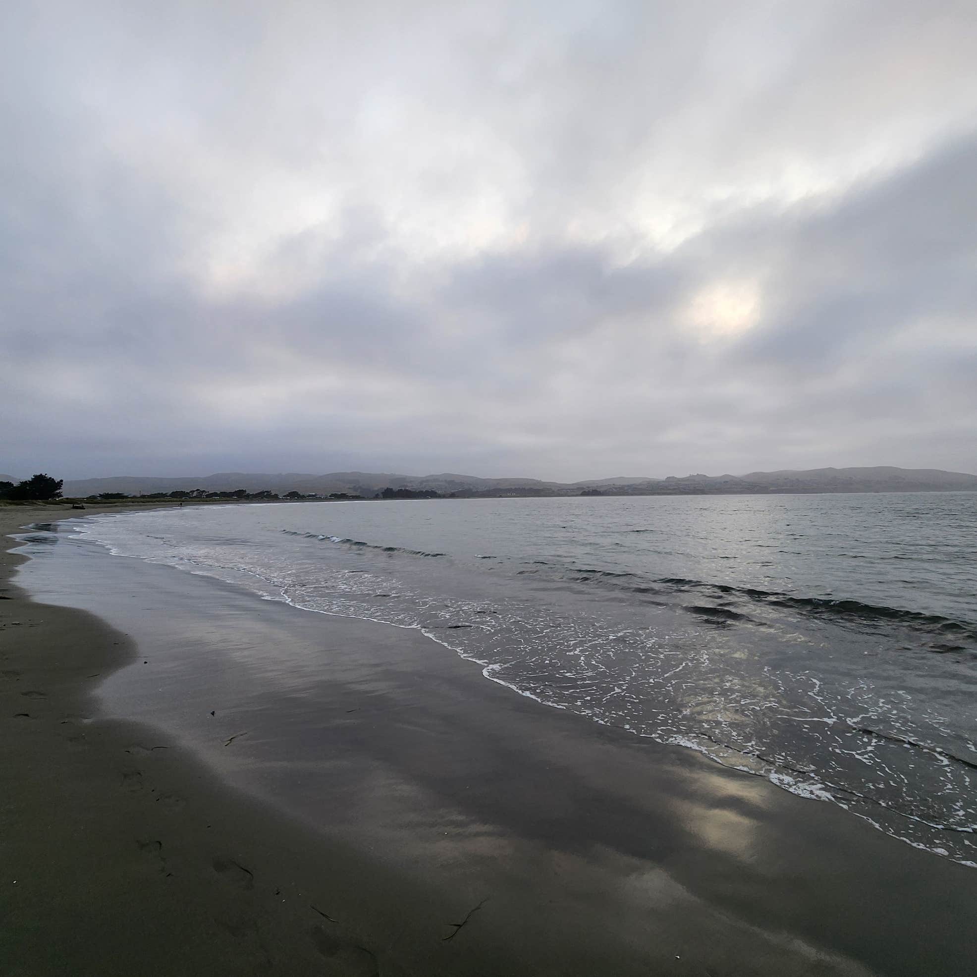 Doran Regional Park Camping | Bodega Bay, California