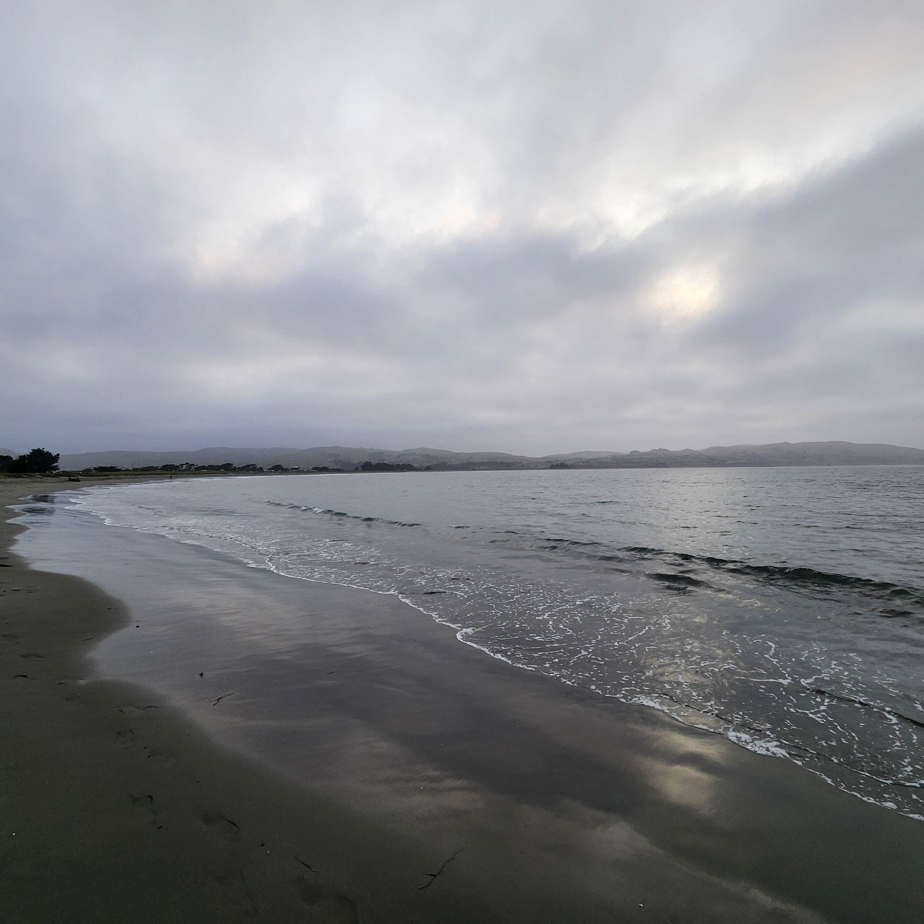 Doran Regional Park Camping | Bodega Bay, California