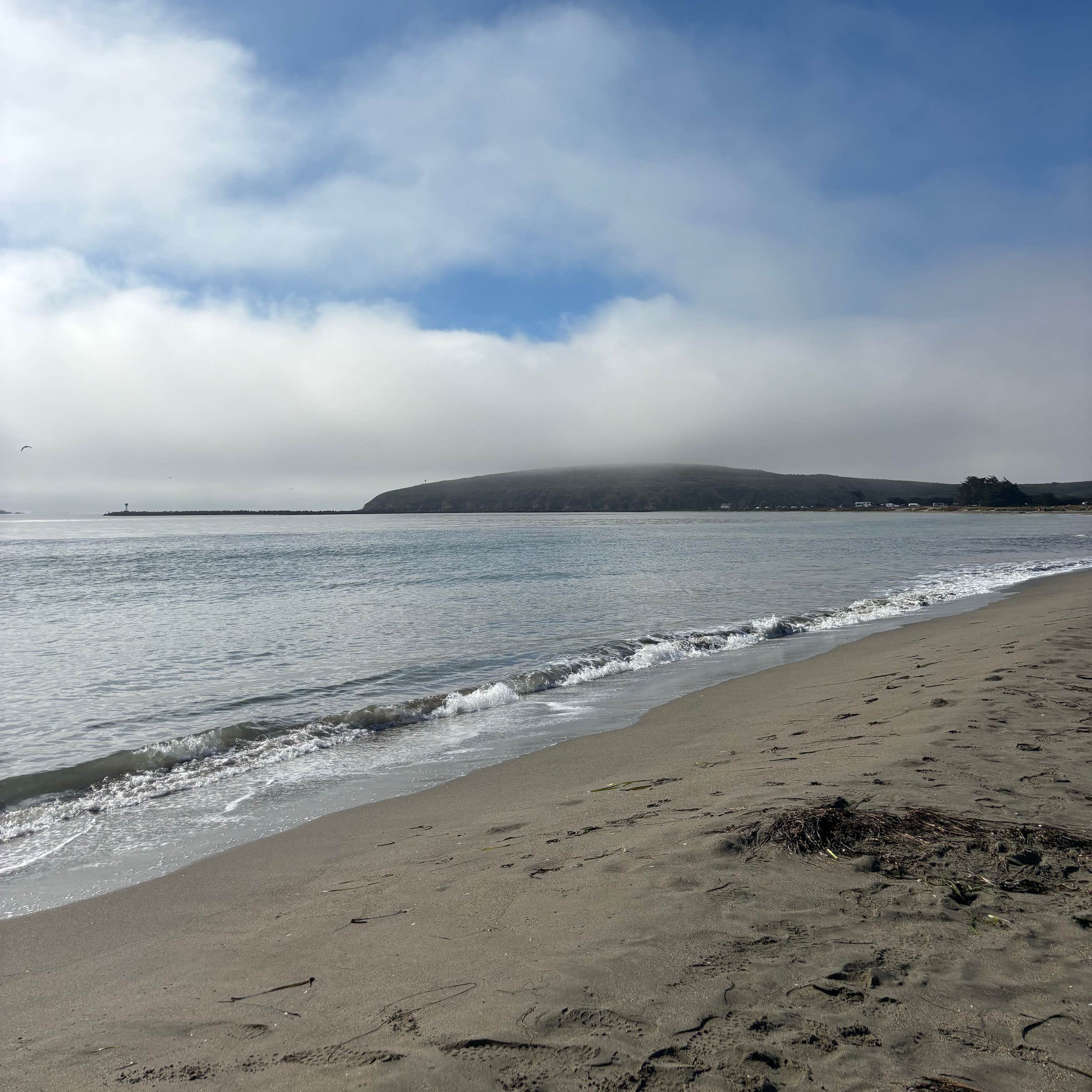 Doran Regional Park Camping | Bodega Bay, California