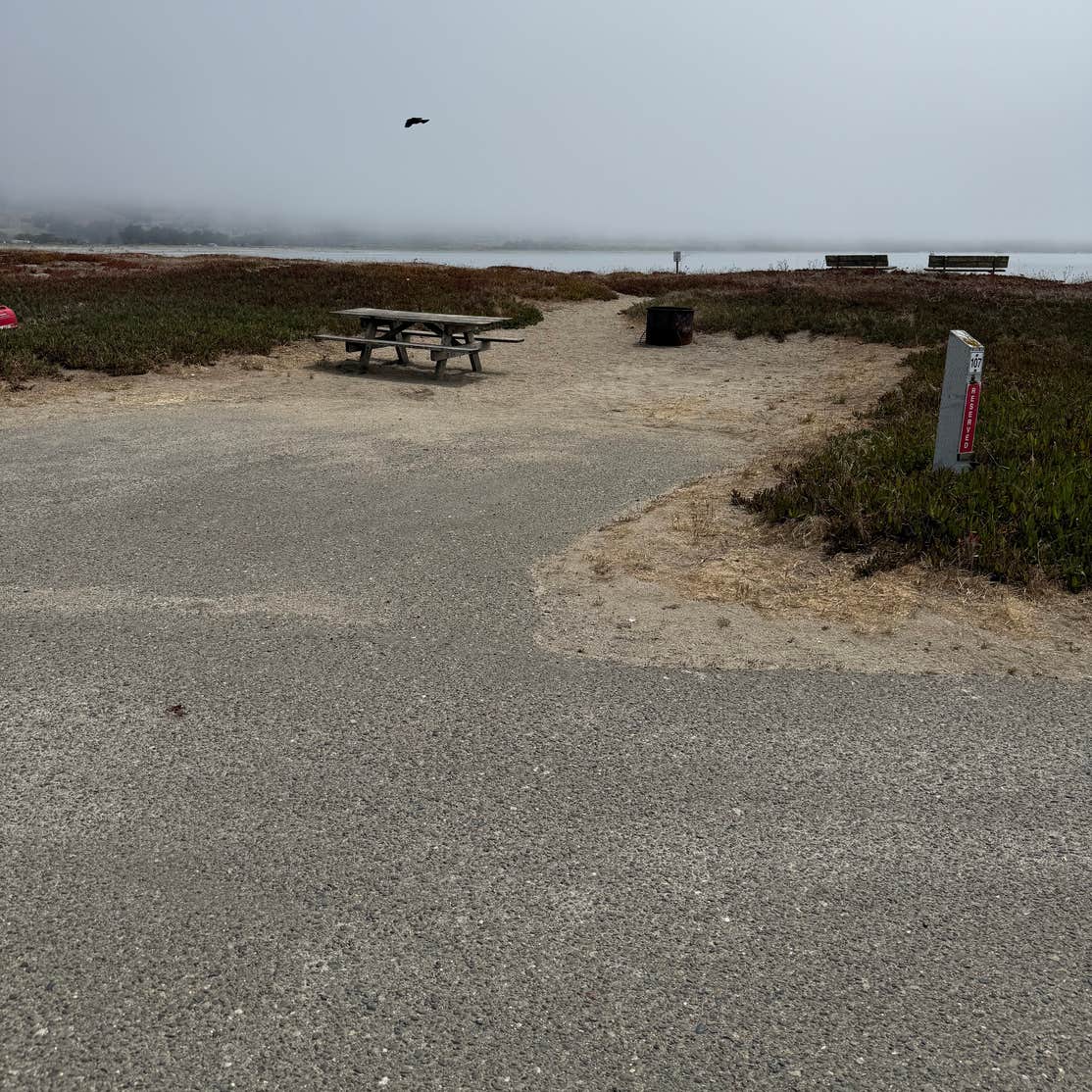 Doran Regional Park Camping | Bodega Bay, California