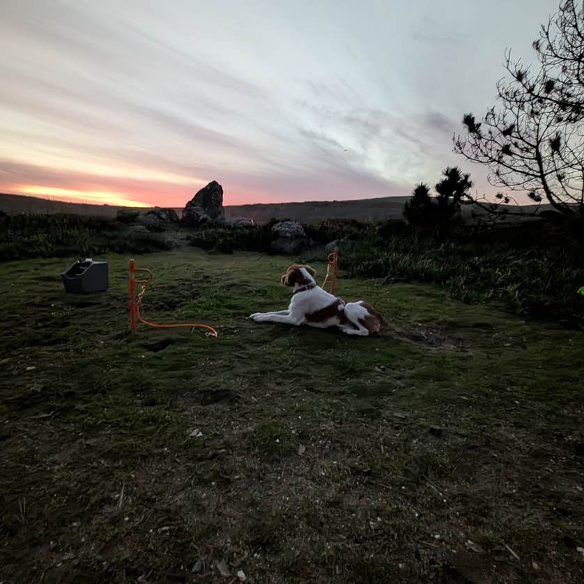 Doran Regional Park Camping | Bodega Bay, California