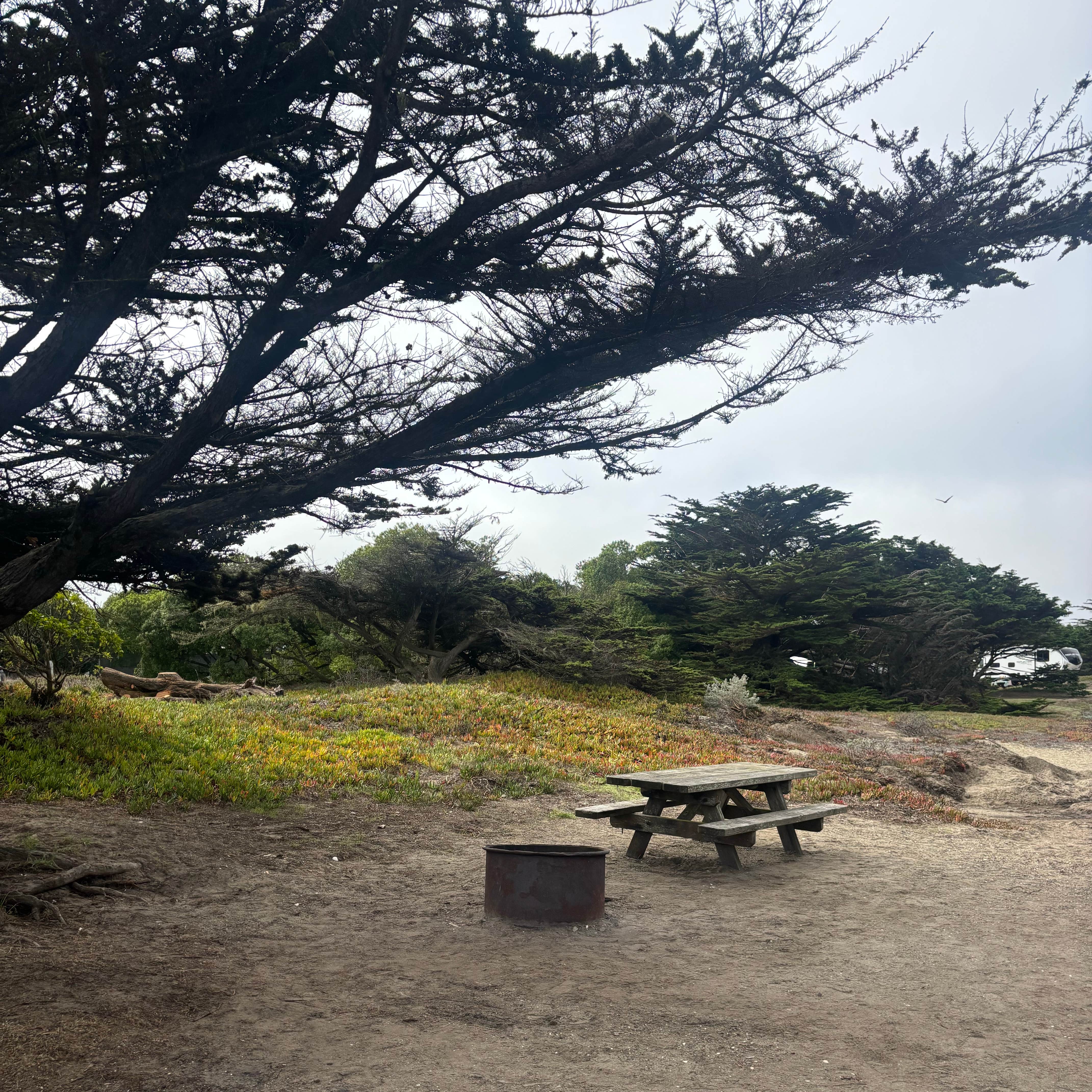 Doran Regional Park Camping | Bodega Bay, California