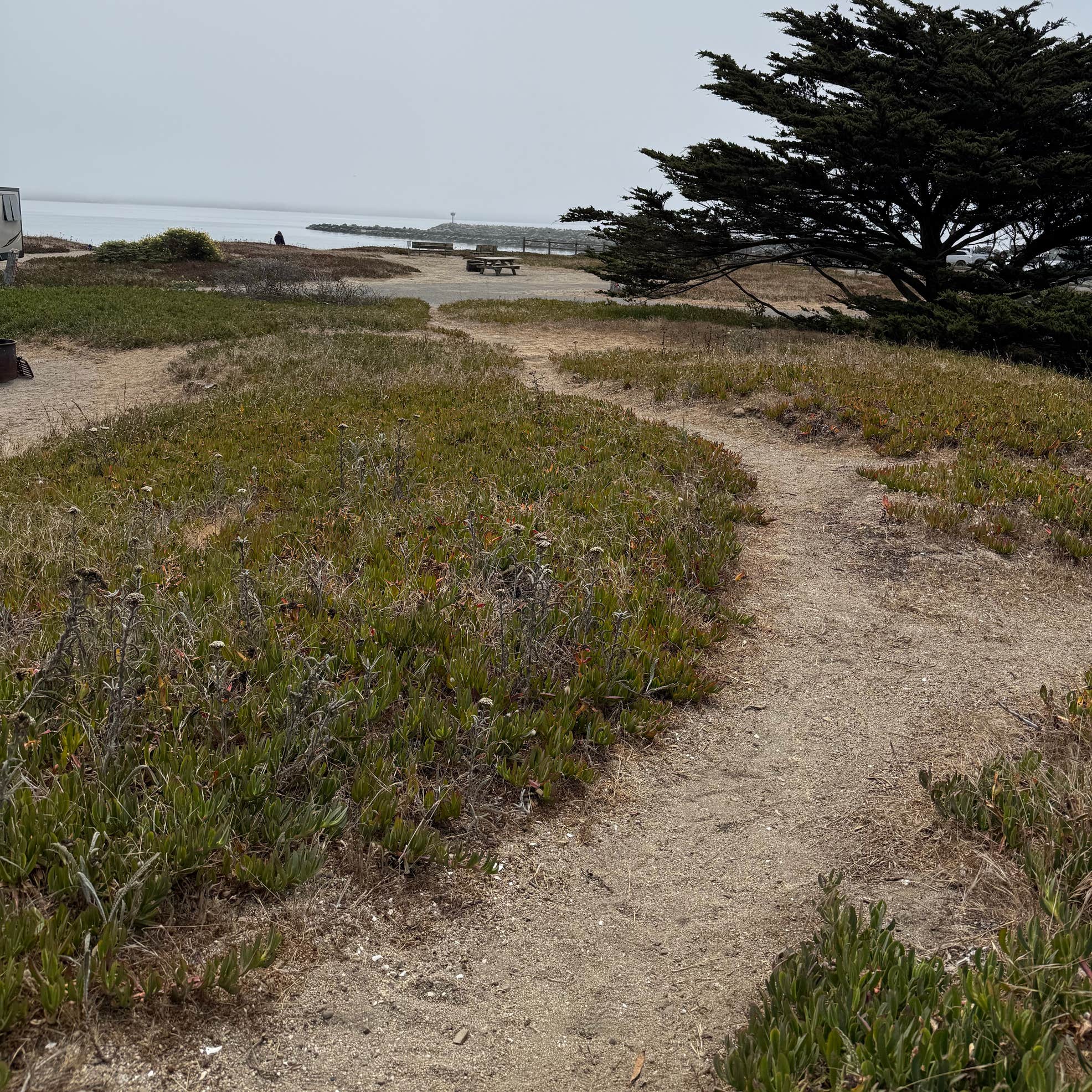 Doran Regional Park Camping | Bodega Bay, California