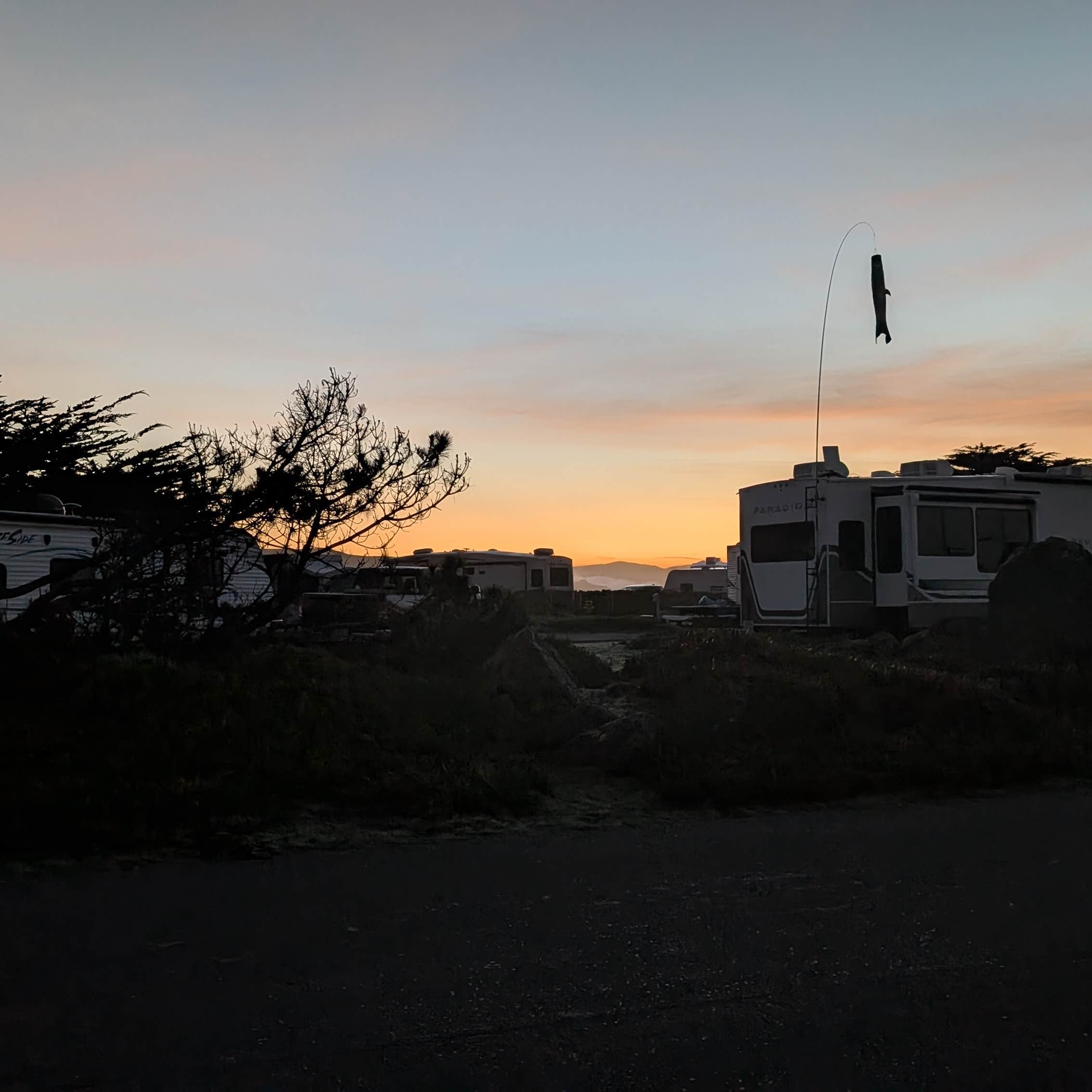 Doran Regional Park Camping | Bodega Bay, California
