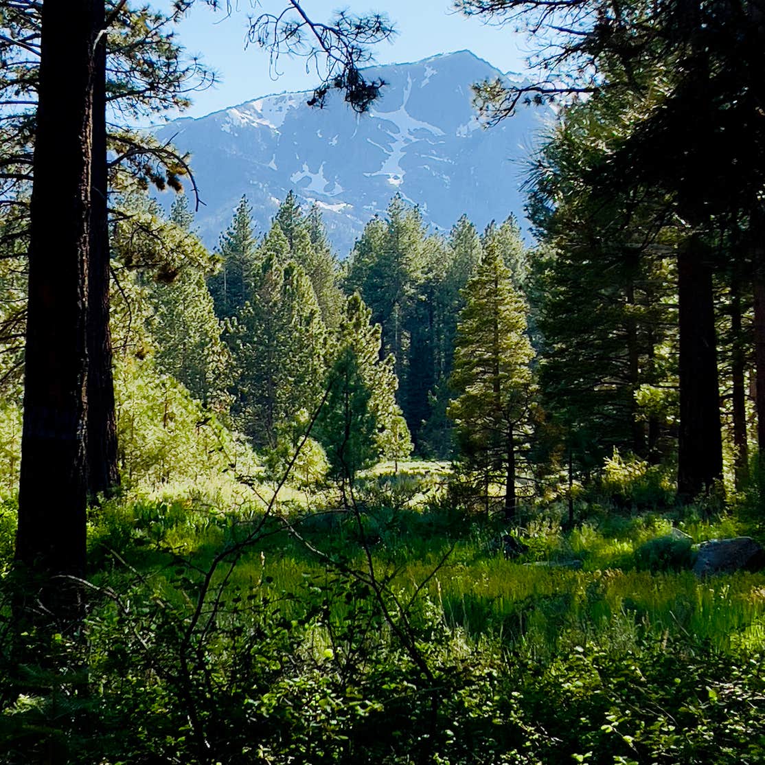 Fallen Leaf Campground - South Lake Tahoe | South Lake Tahoe, California